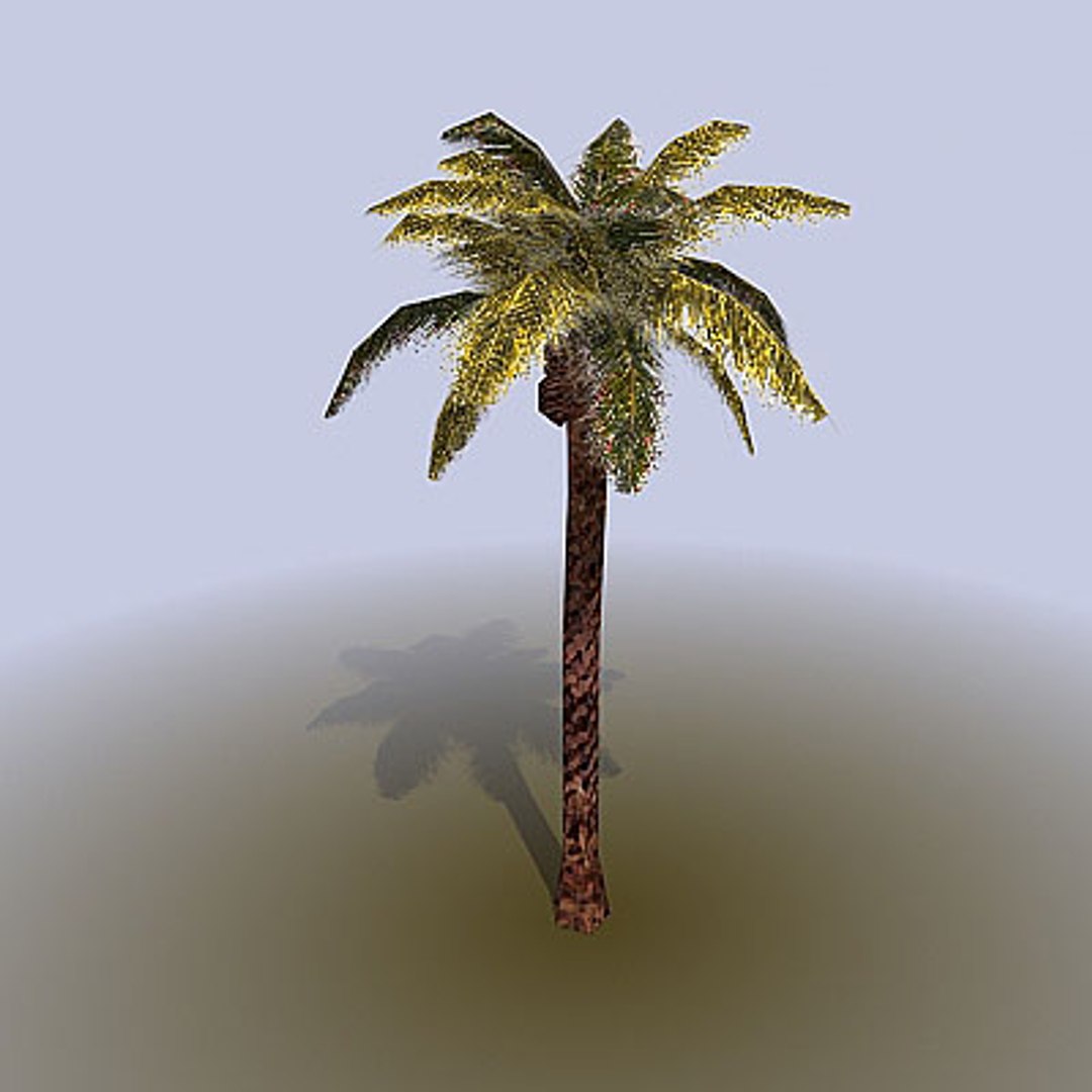 palm tree bush 3d model