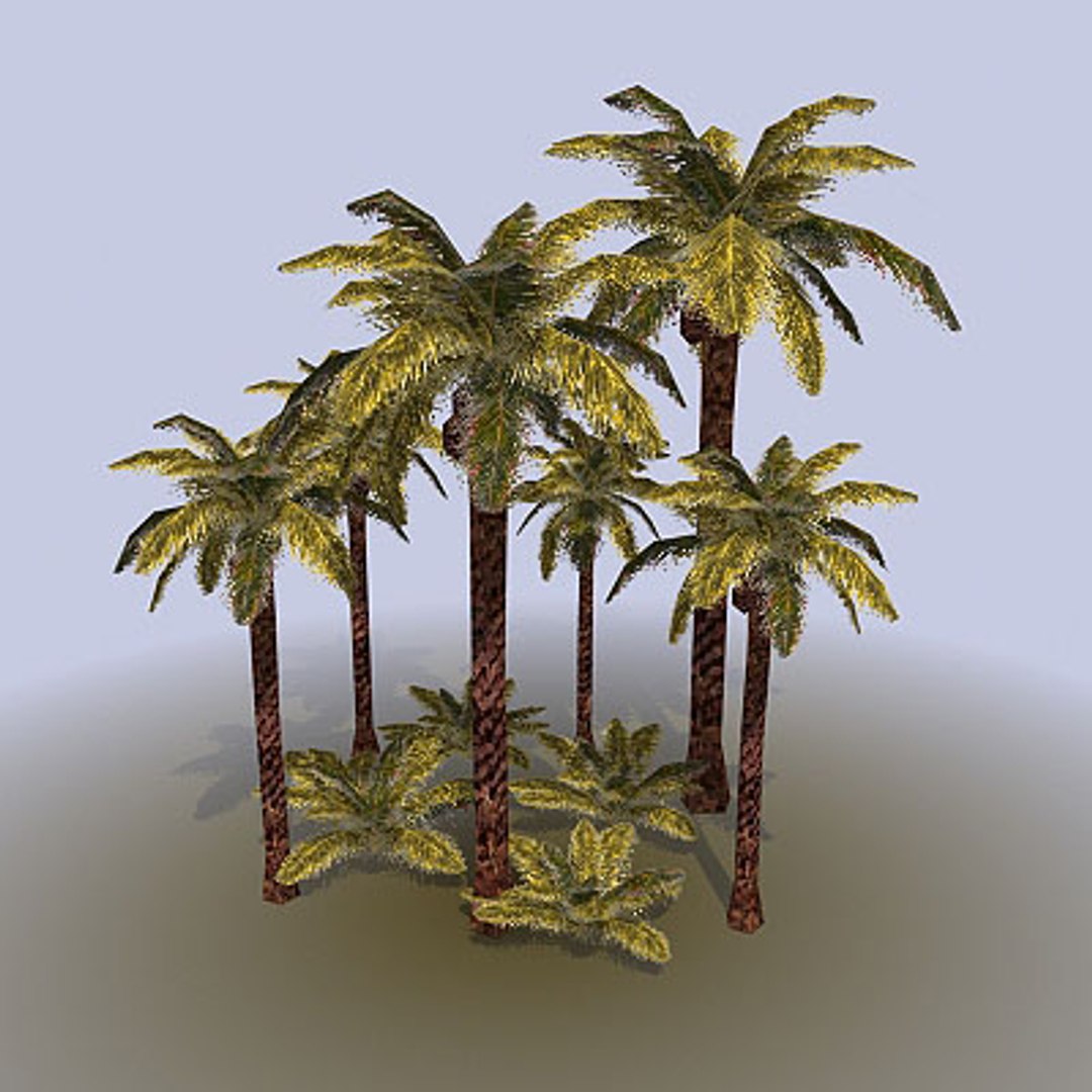 palm tree bush 3d model