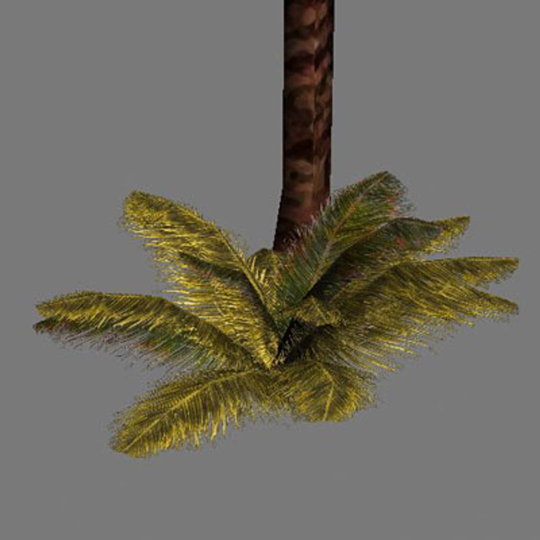 palm tree bush 3d model