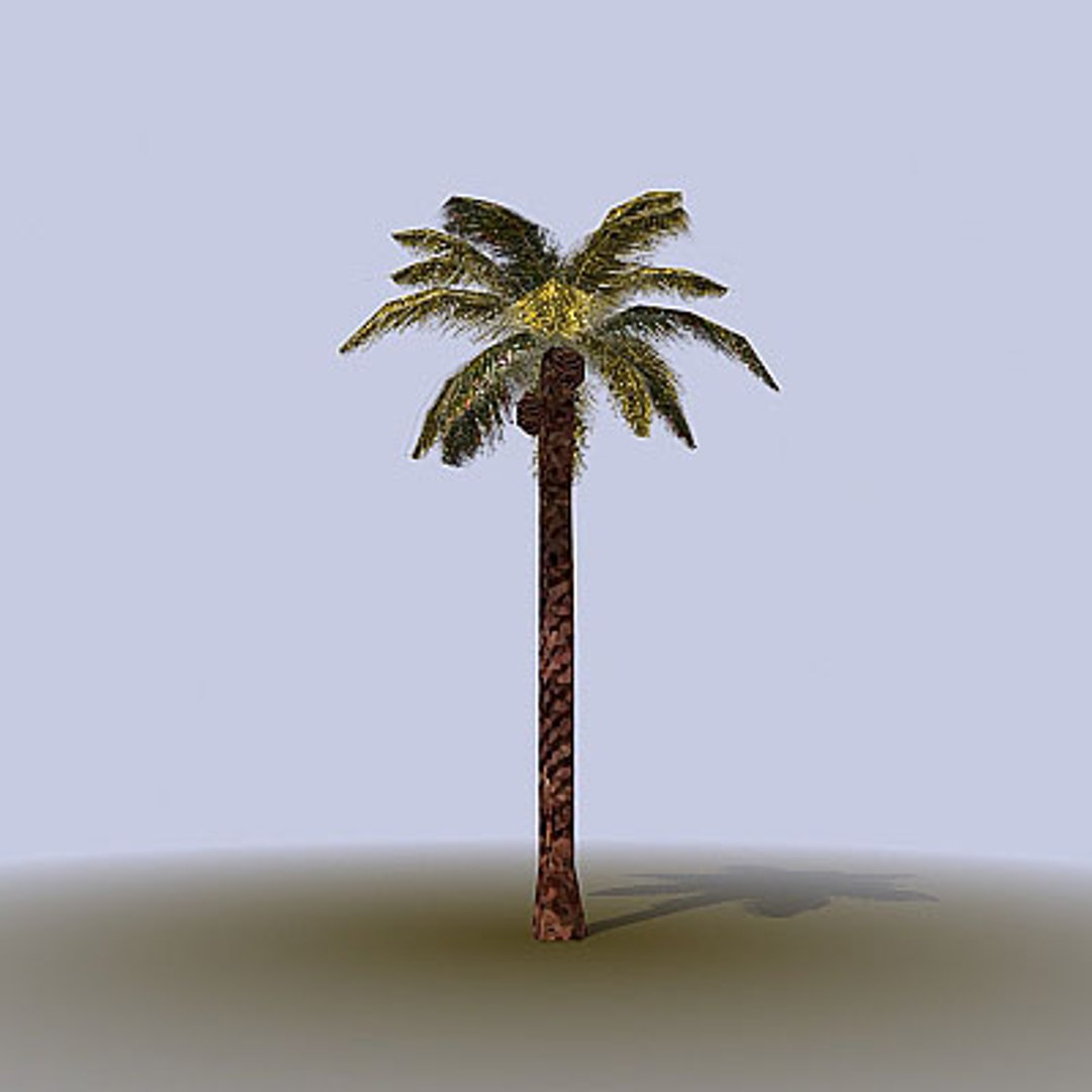 palm tree bush 3d model