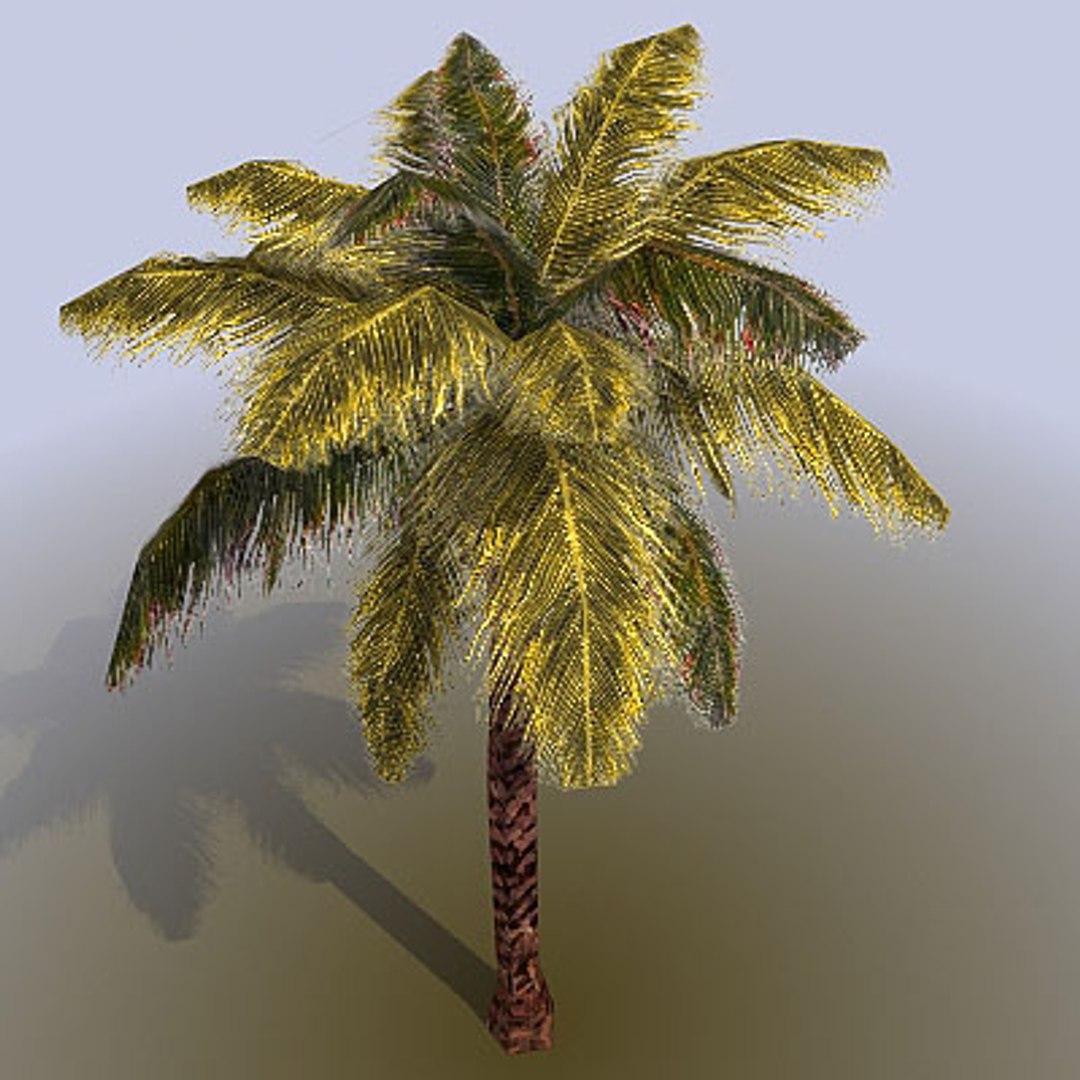 palm tree bush 3d model