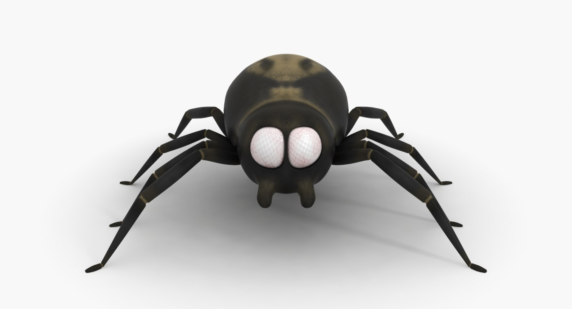 Cartoon Spider Max
