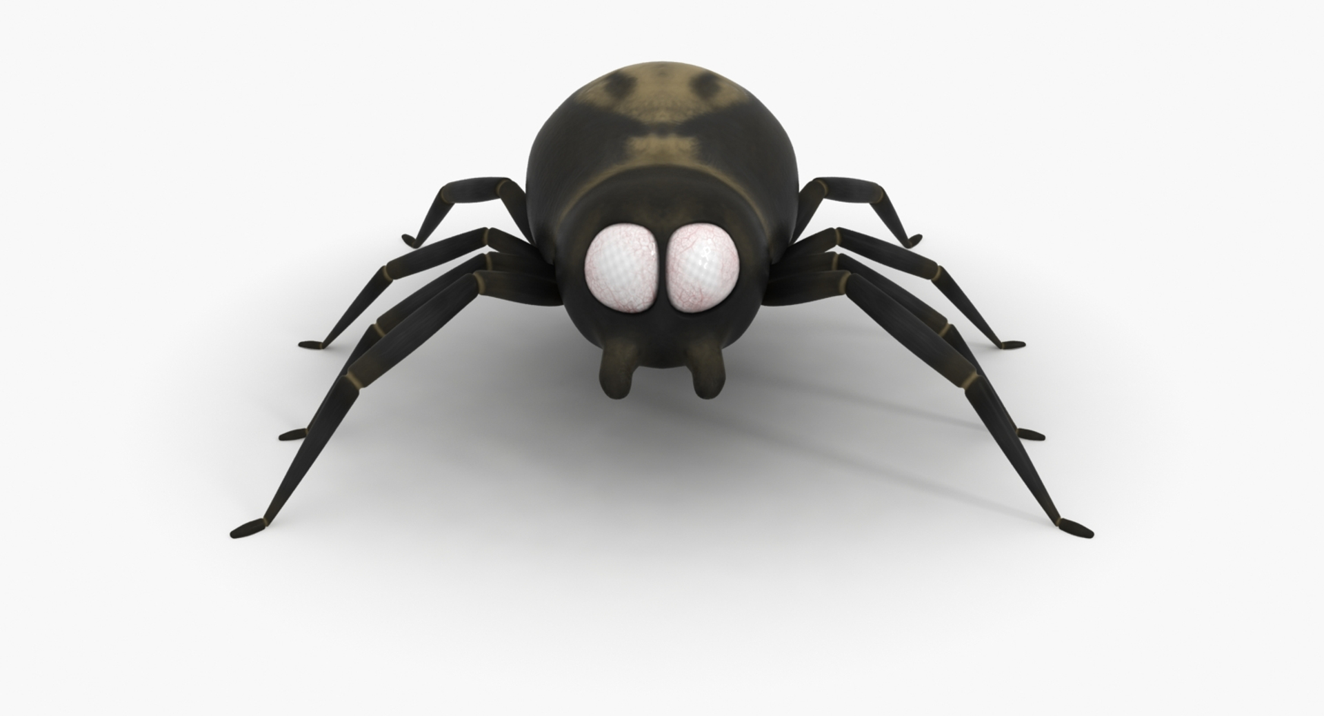 Cartoon Spider Max