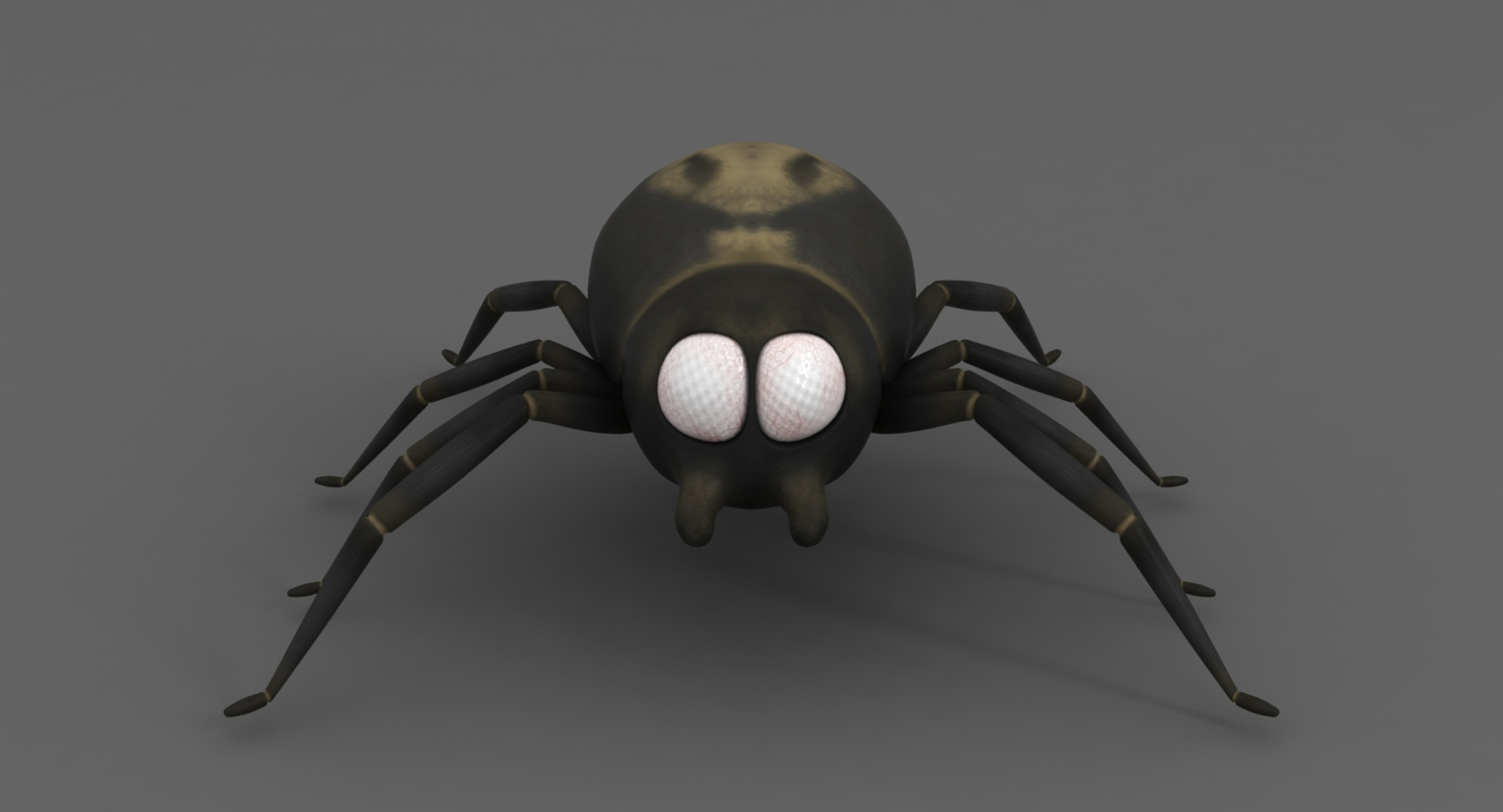 cartoon spider max