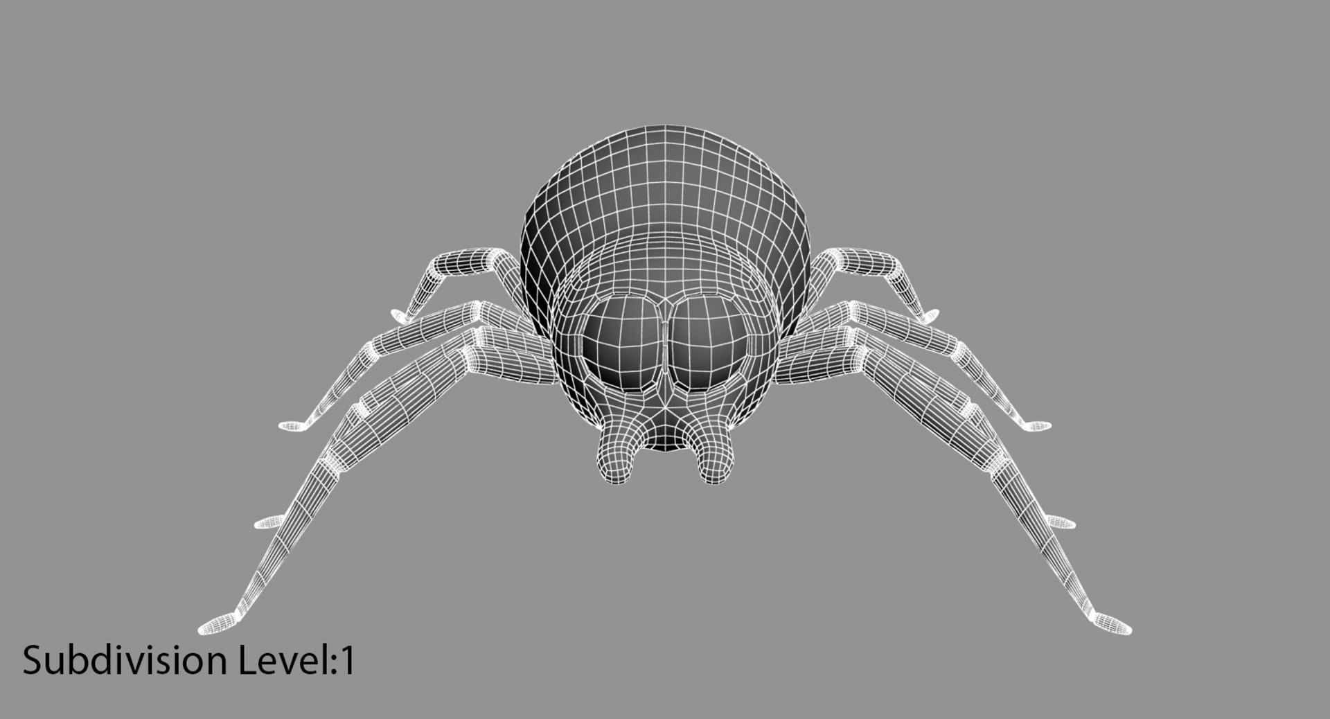 Cartoon Spider Max