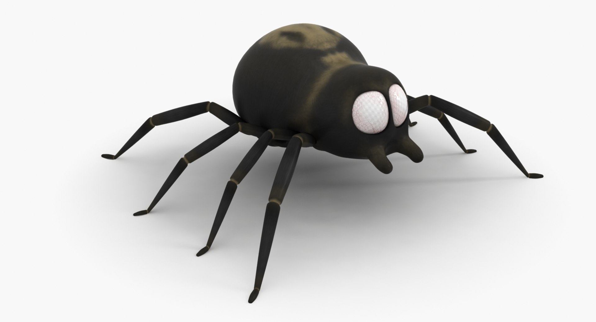 Cartoon Spider Max
