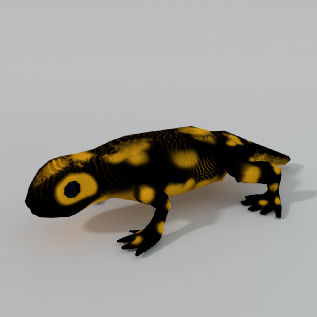 3D Salamander - TurboSquid 1316805