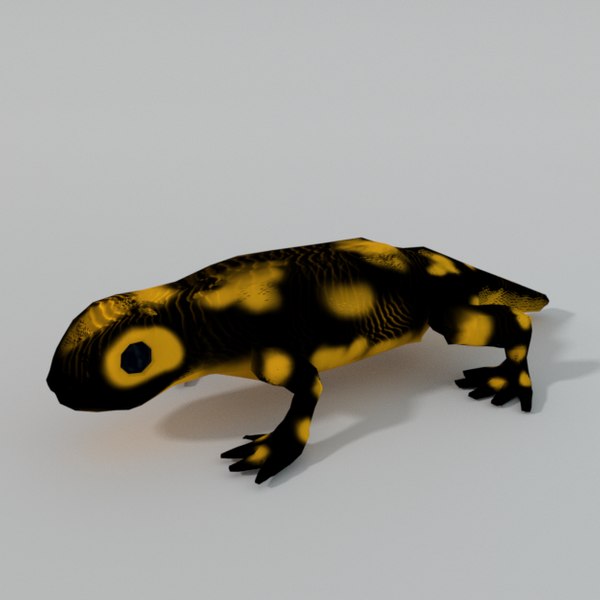 Salamander 3D Models for Download | TurboSquid