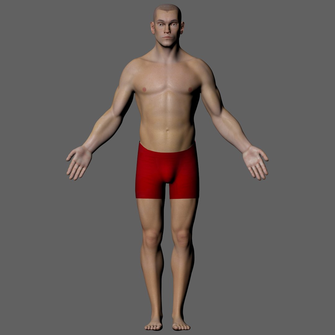 3d realistic male body