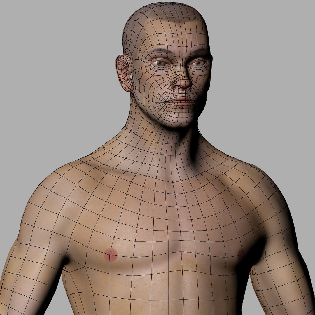3d realistic male body