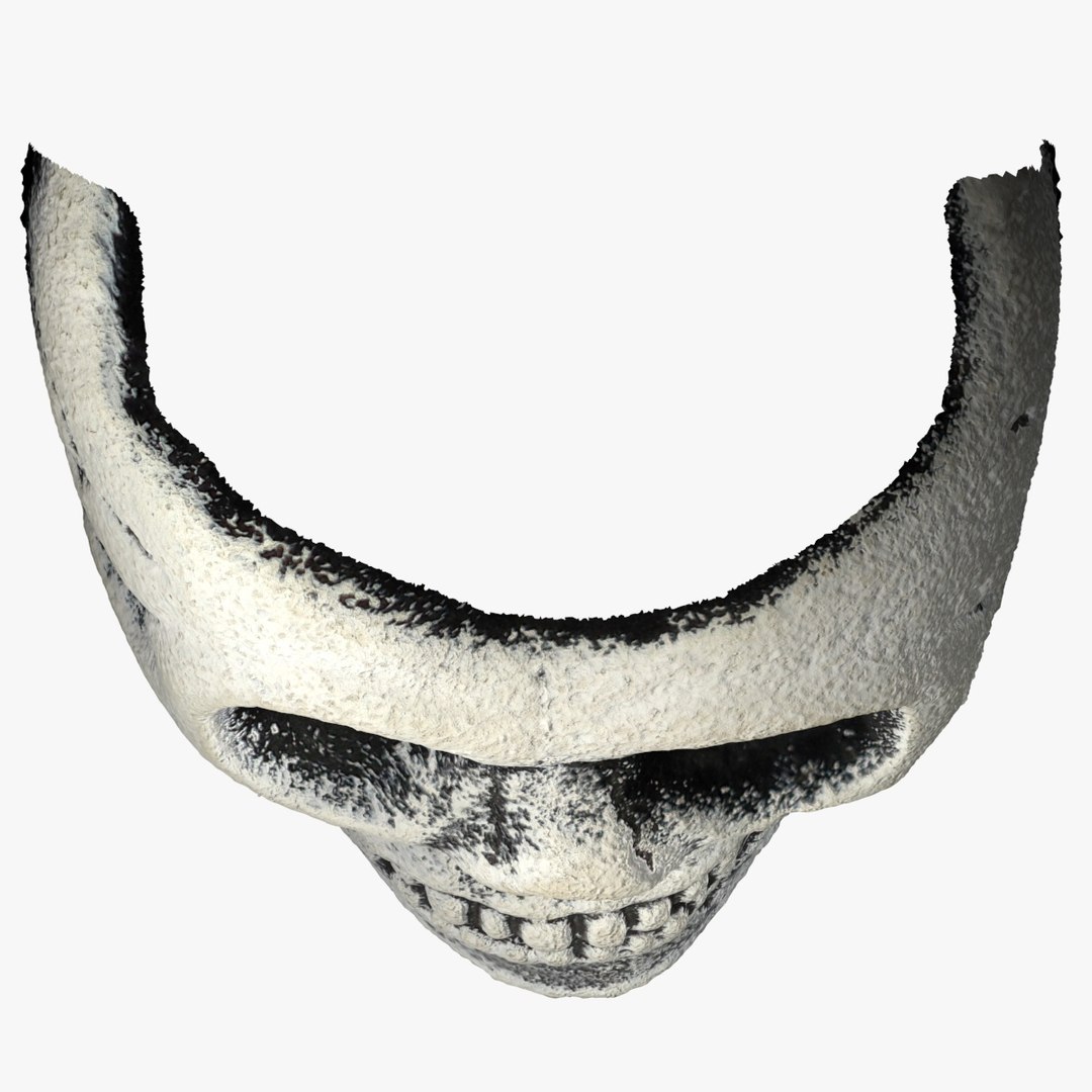 Face 3 - Skull Max