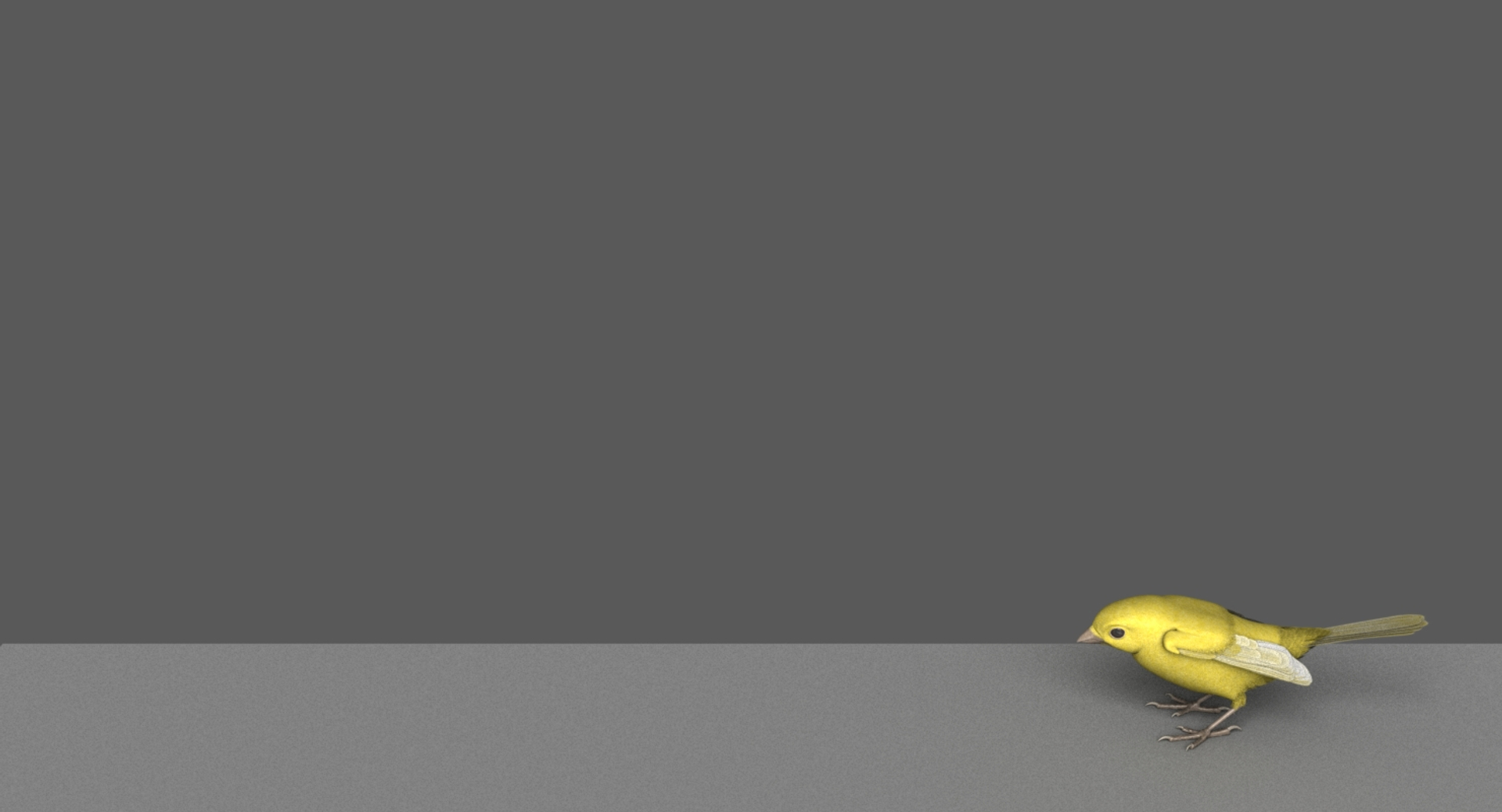 Domestic Canary Animation 3D Model - TurboSquid 1386638