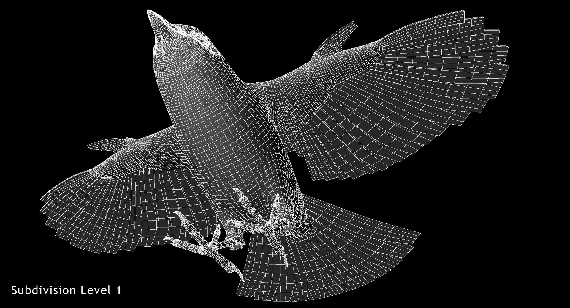 Domestic canary animation 3D model - TurboSquid 1386638