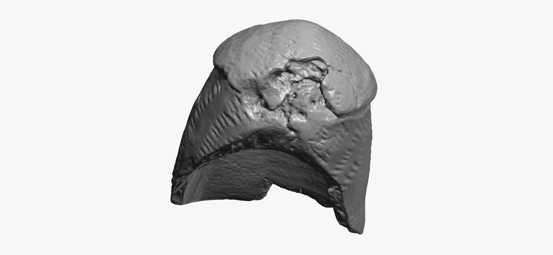 3D model Medieval Phalus Cover 01 RAW Scan - TurboSquid 1793601