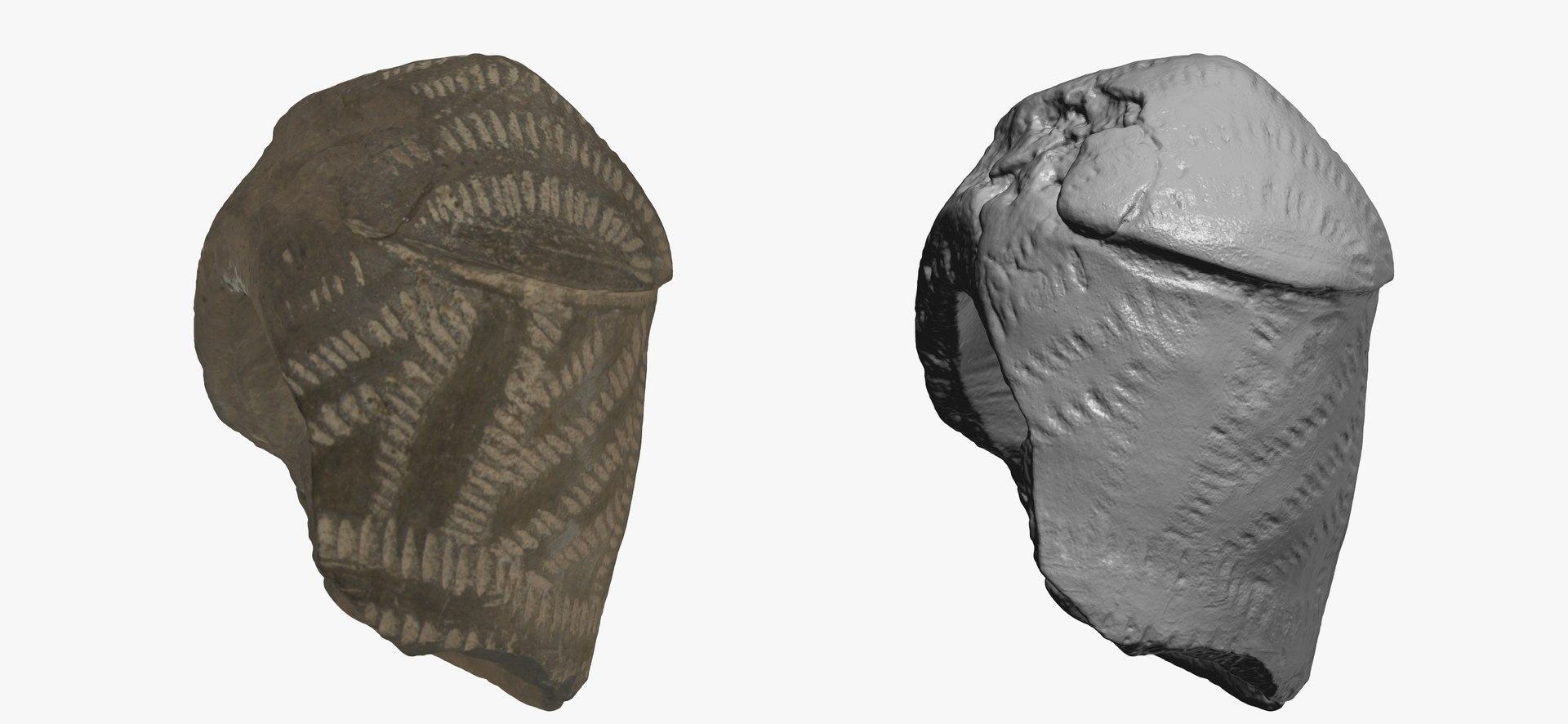 3D model Medieval Phalus Cover 01 RAW Scan - TurboSquid 1793601