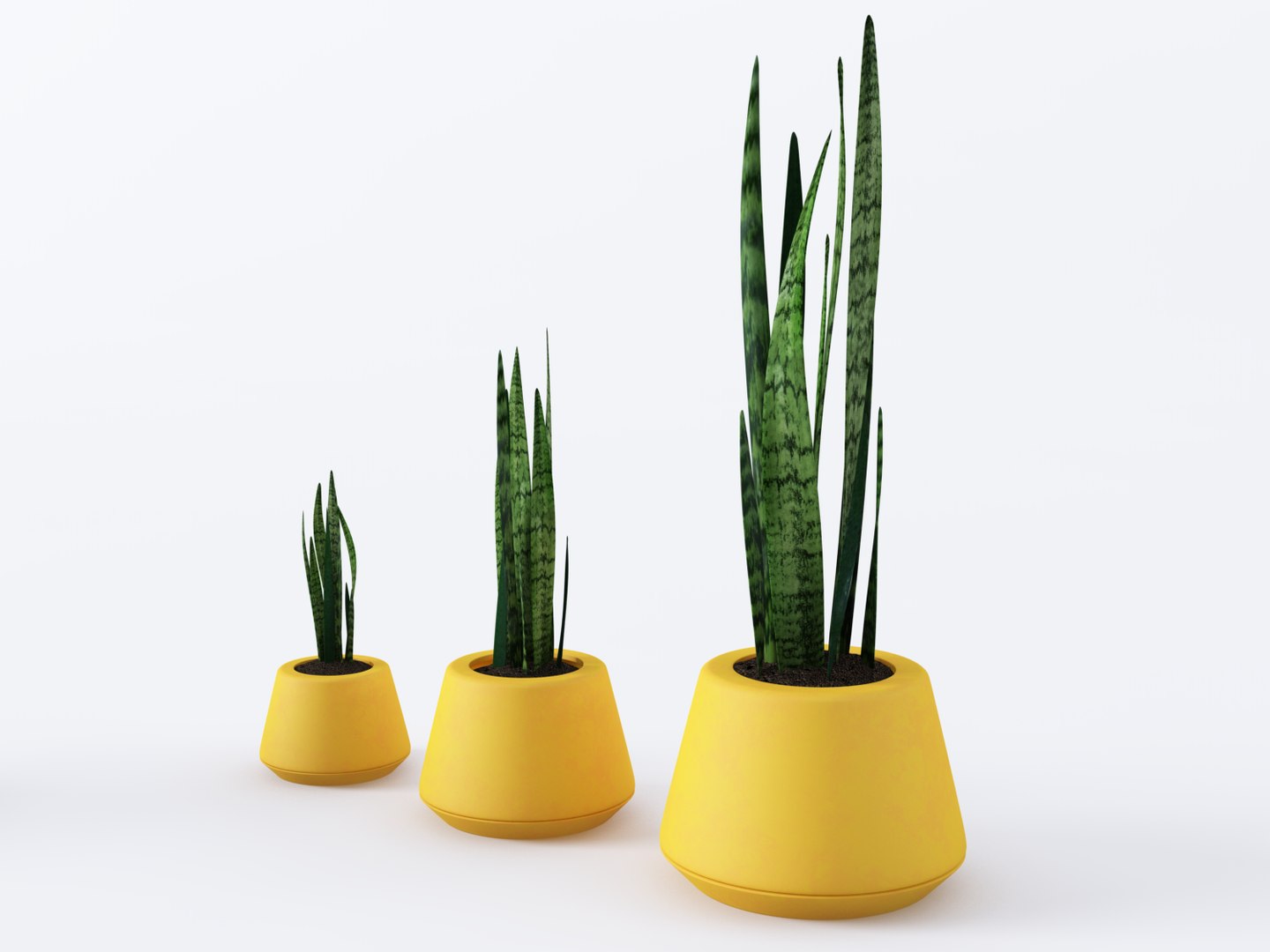 3D Model Yellow Pots Set Plants - TurboSquid 1400080