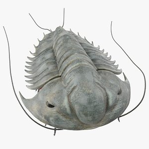 trilobite 3d