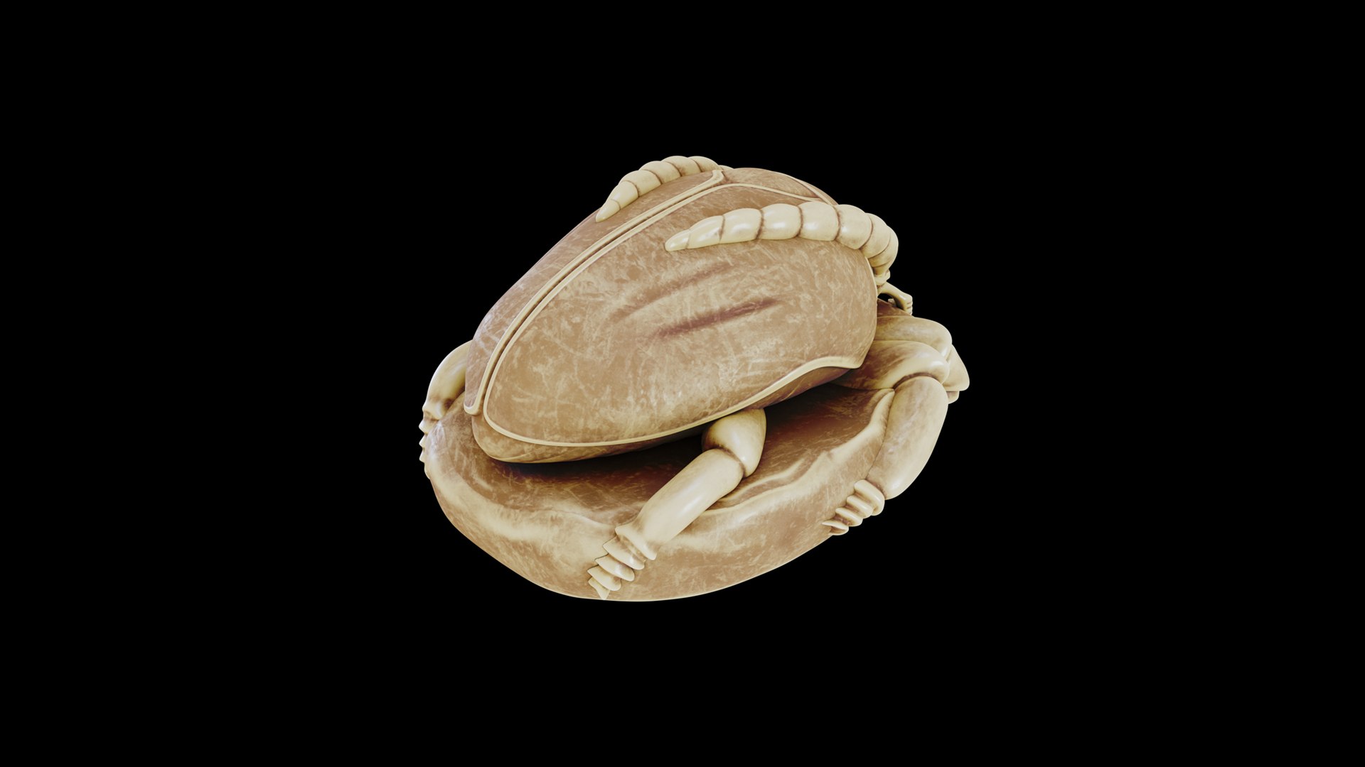 Scarab Model - TurboSquid 1666099