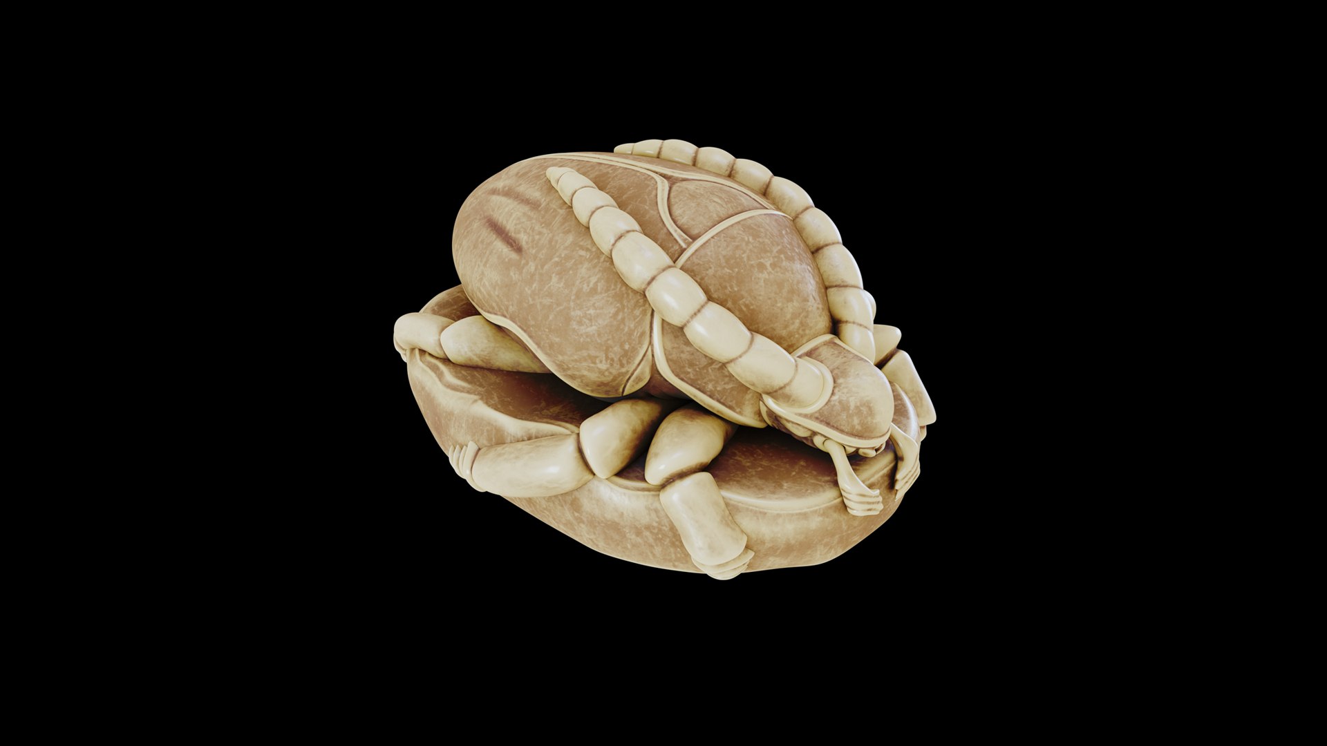 Scarab Model - TurboSquid 1666099