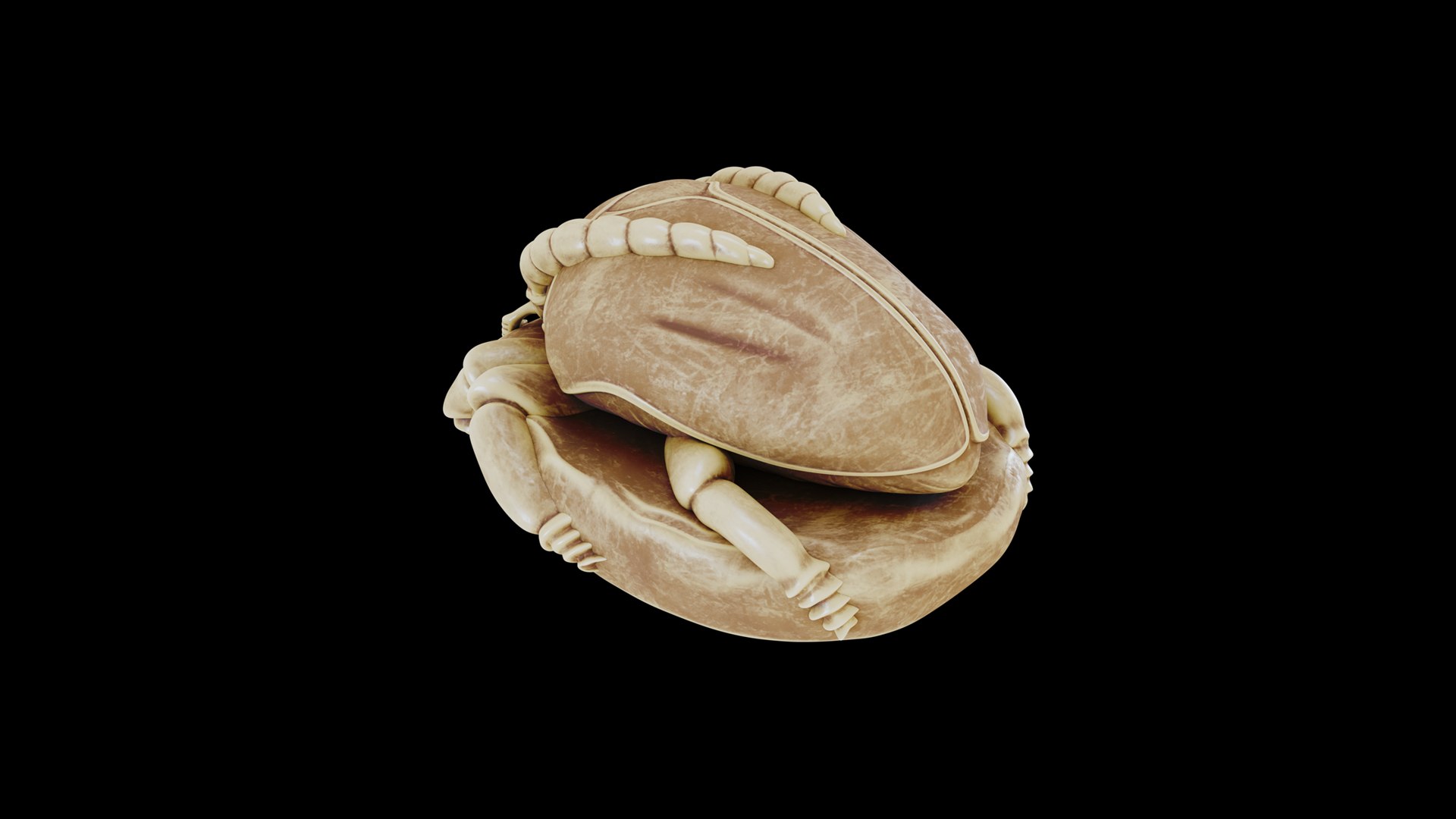 Scarab Model - TurboSquid 1666099