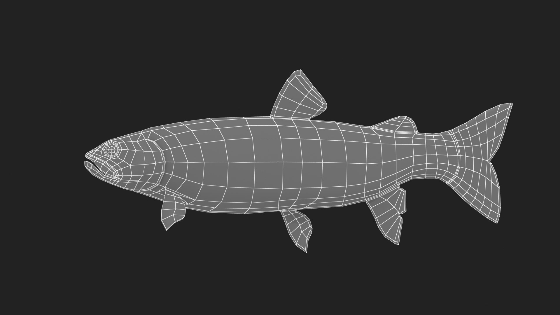 3D Trout Fish - Rigged Model - TurboSquid 2277572