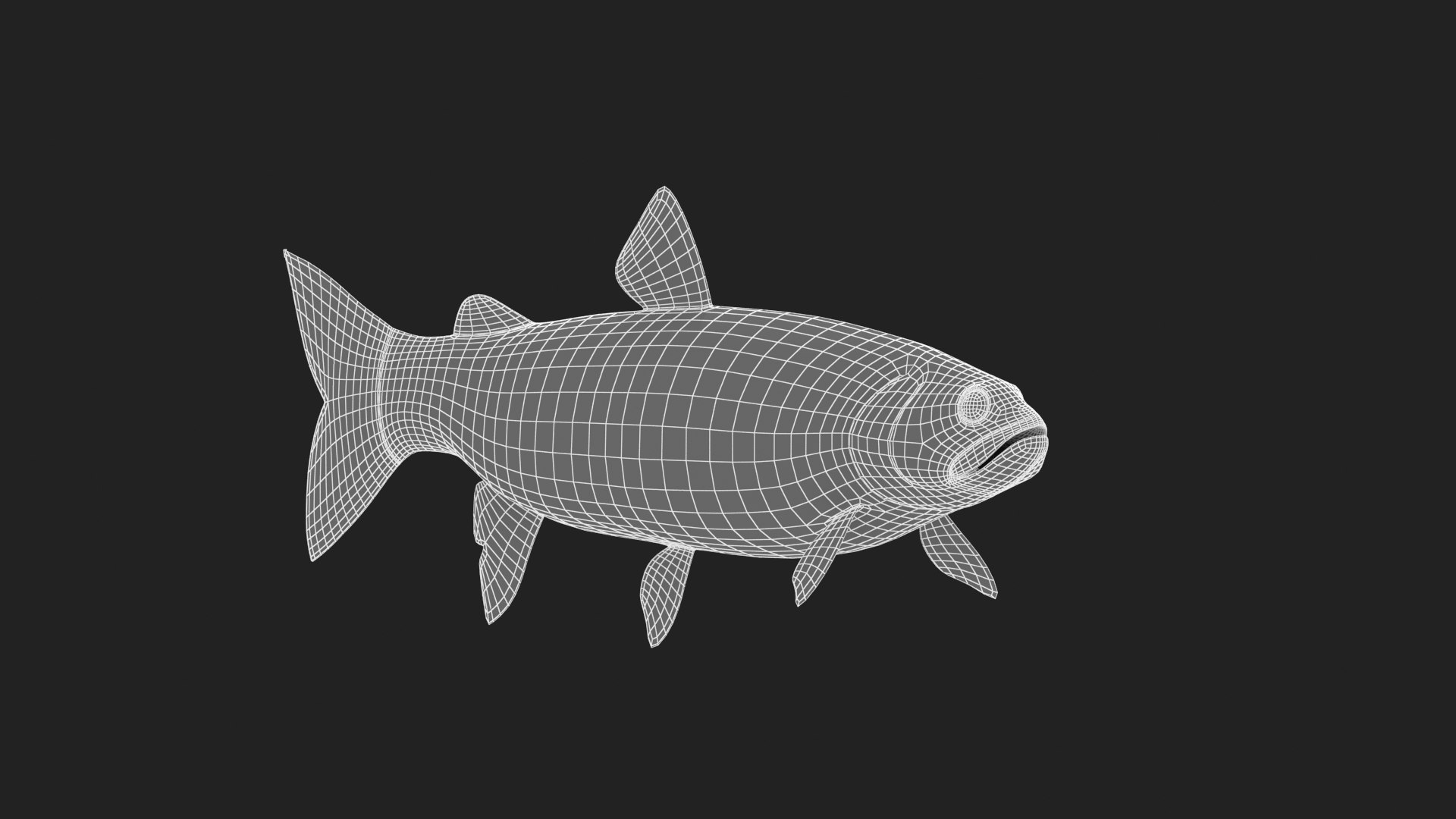 3D Trout Fish - Rigged Model - TurboSquid 2277572