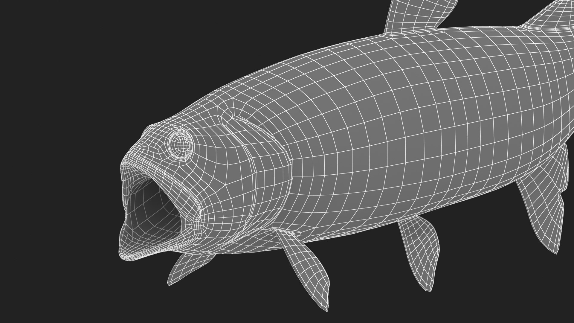 3D Trout Fish - Rigged Model - TurboSquid 2277572