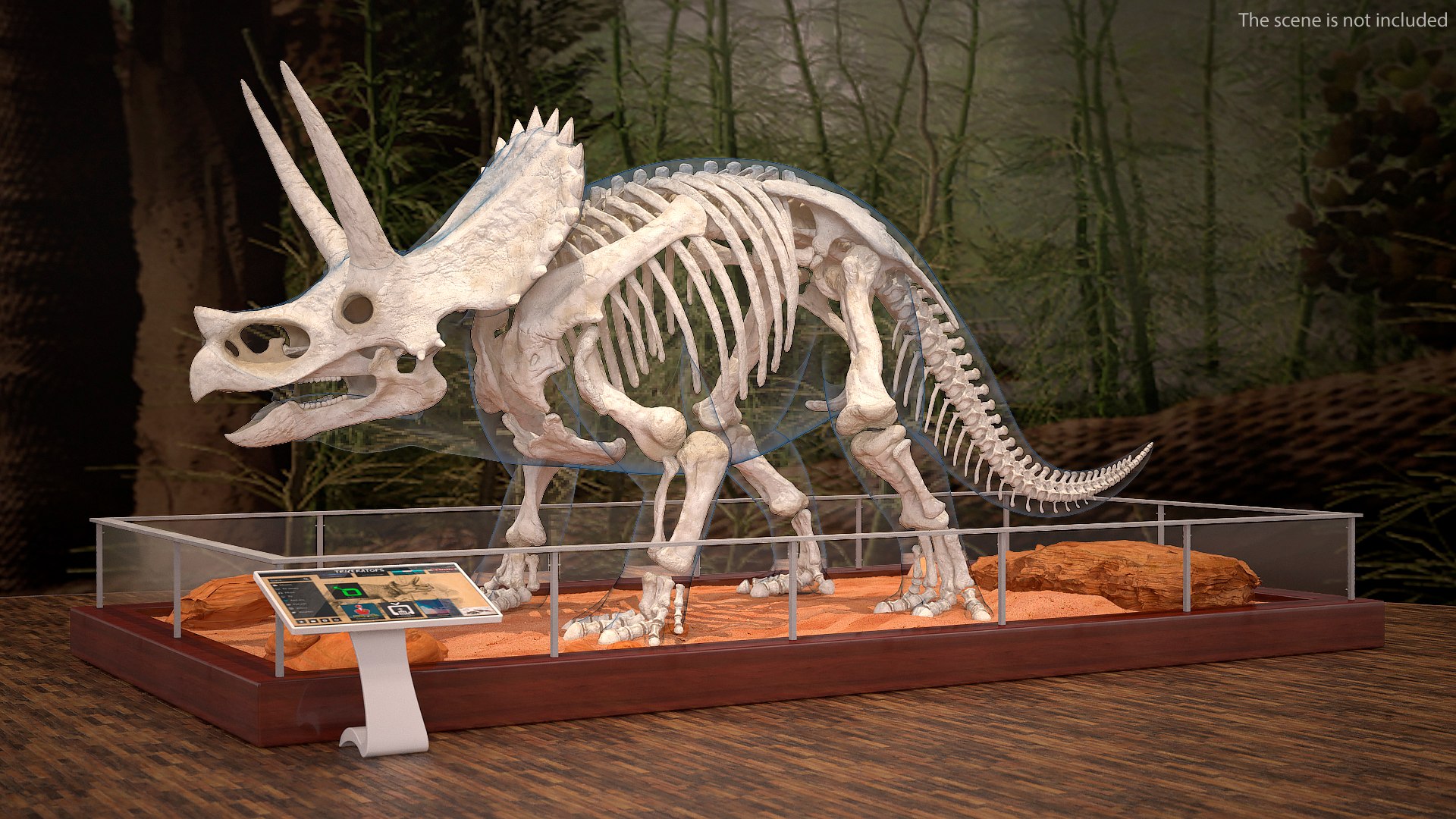 3D triceratops skeleton standing pose model - TurboSquid 1506478