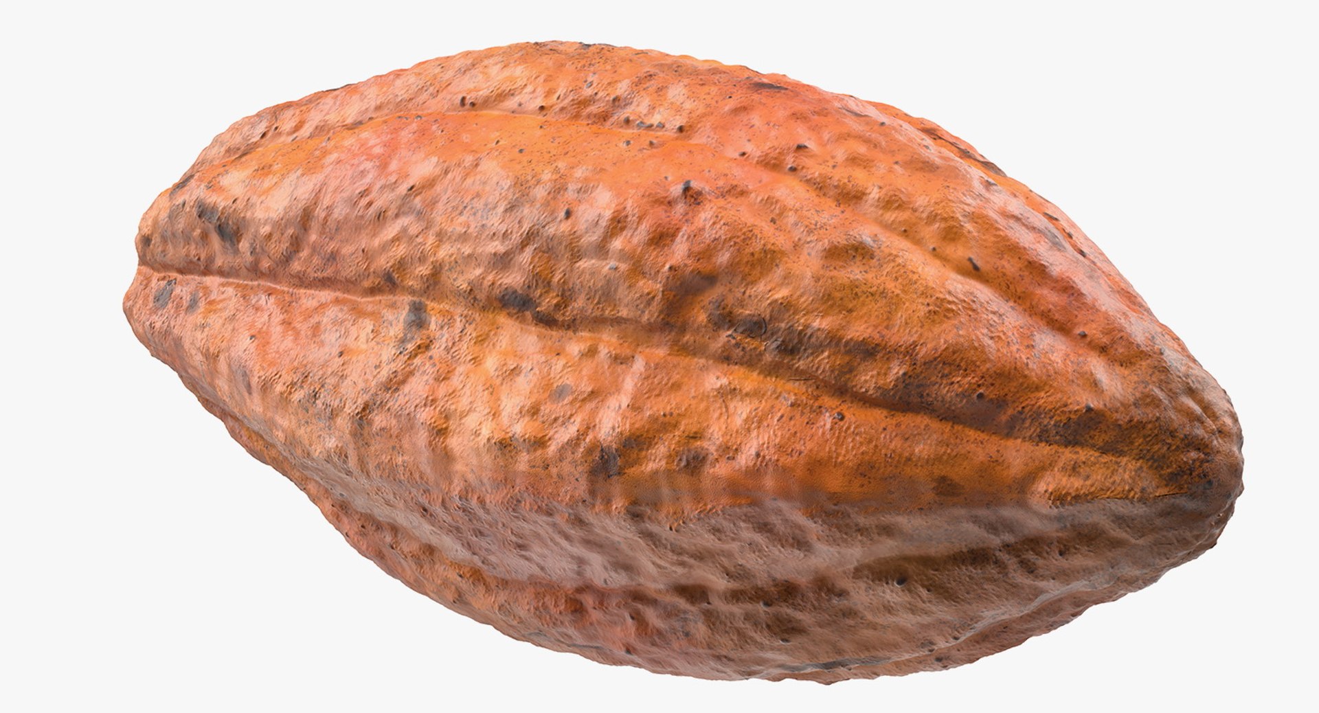 Cocoa Fruit 3D Model - TurboSquid 1373378
