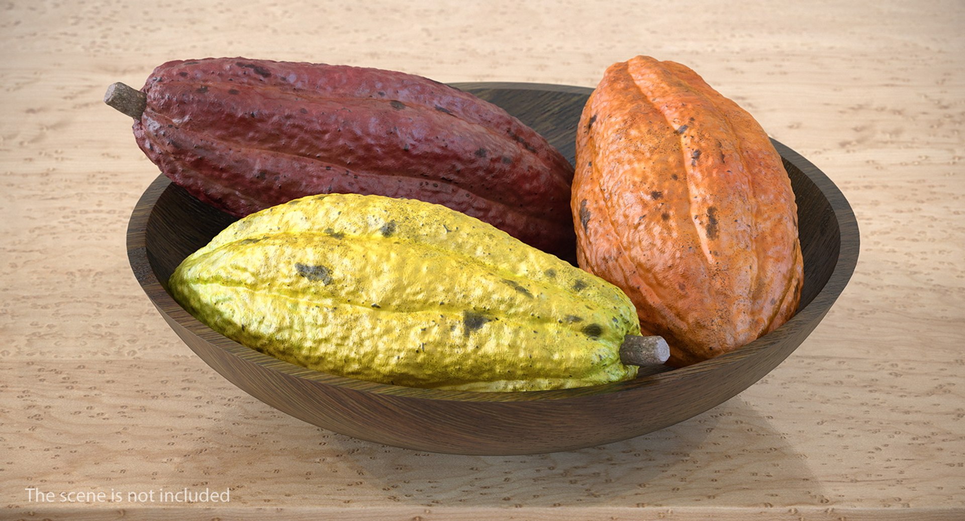 Cocoa Fruit 3D Model - TurboSquid 1373378