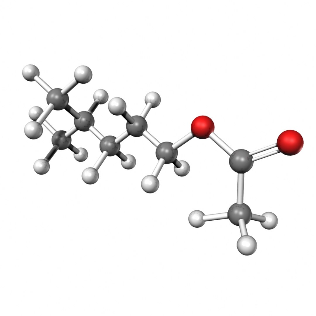 3d Isohexyl Acetate Model
