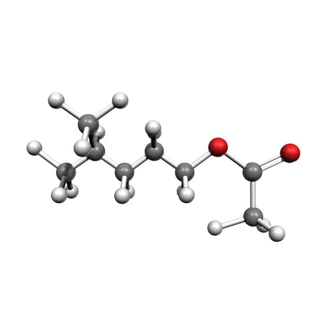 3d Isohexyl Acetate Model