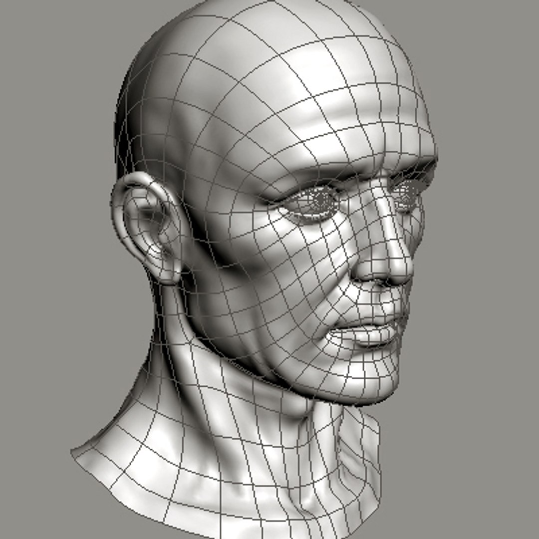 Realistic Head 3d Model