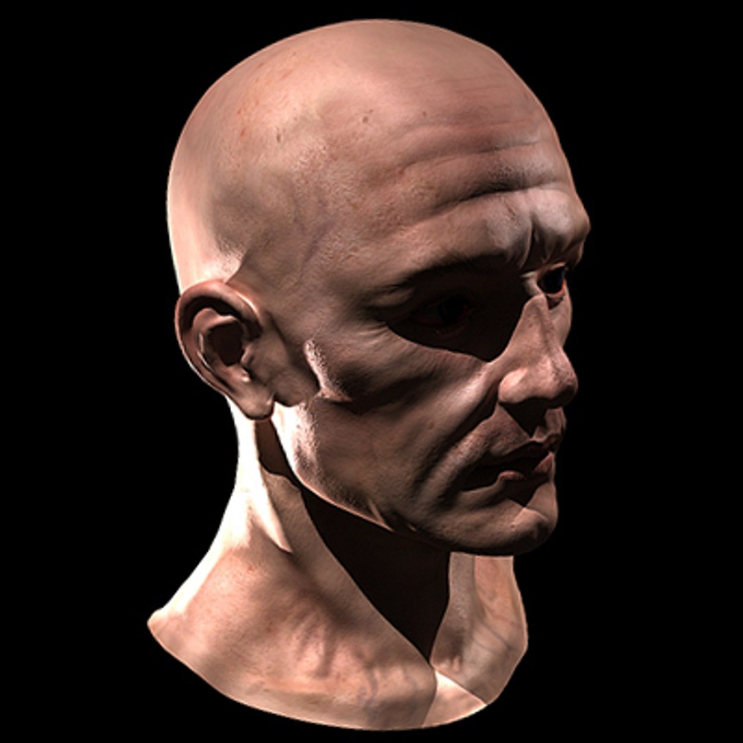 Realistic Head 3d Model