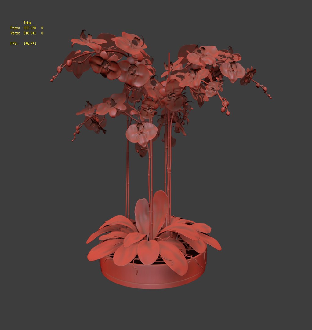 orchid 3d model