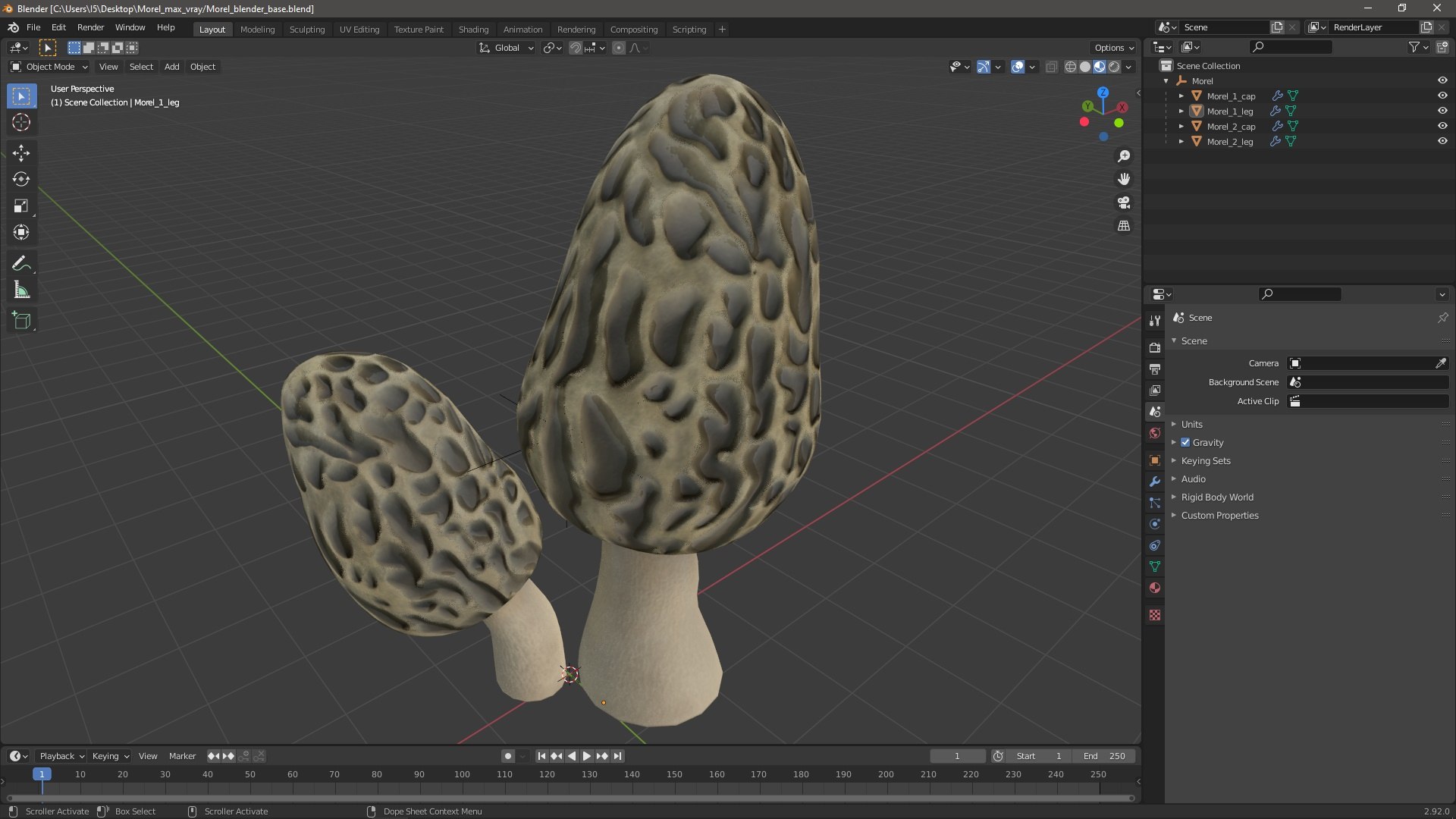 Morel 3D Model - TurboSquid 2216641
