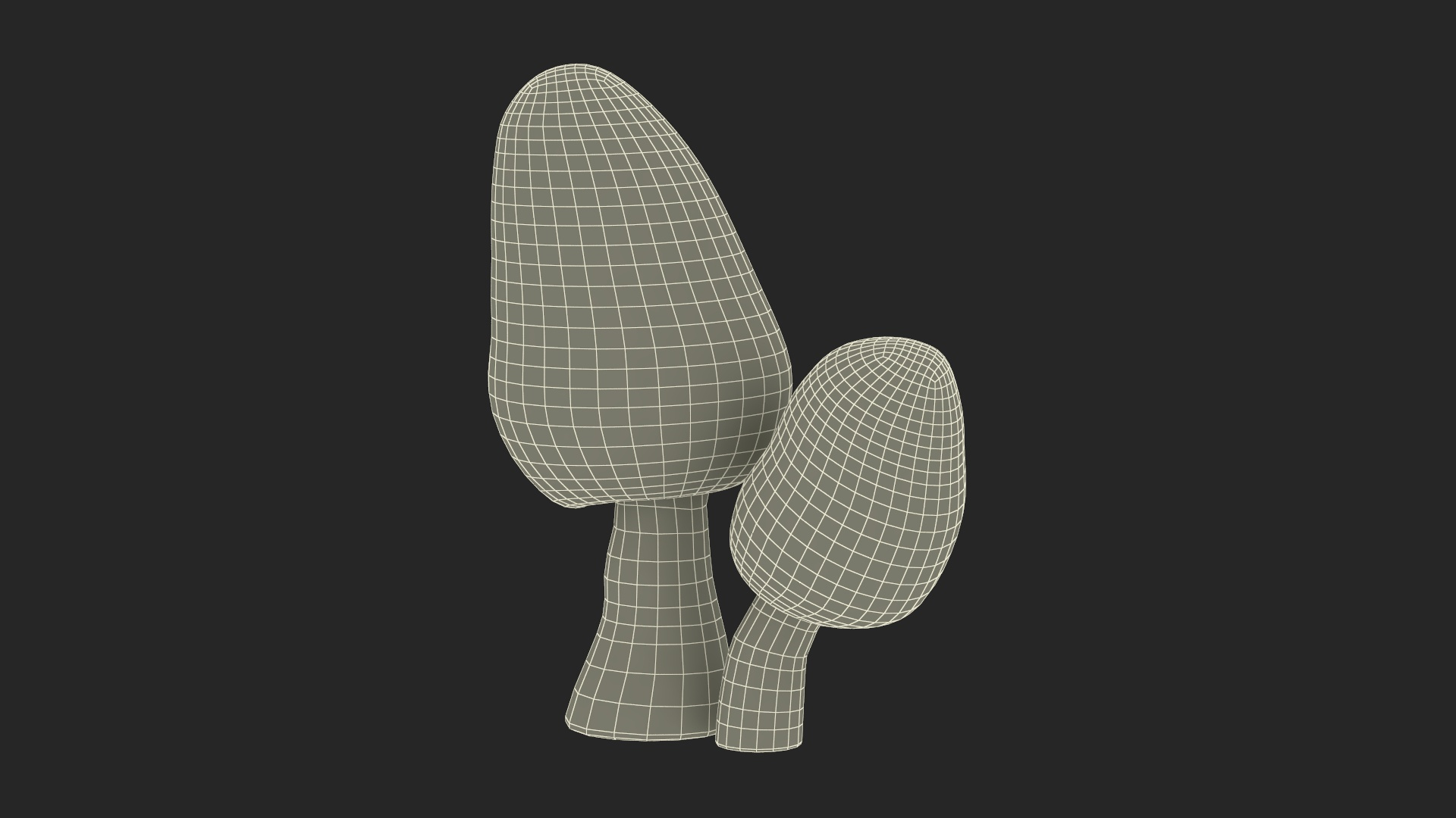 Morel 3D Model - TurboSquid 2216641