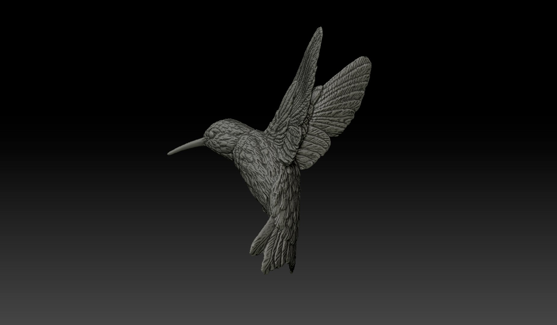 Humming Bird 3d Model