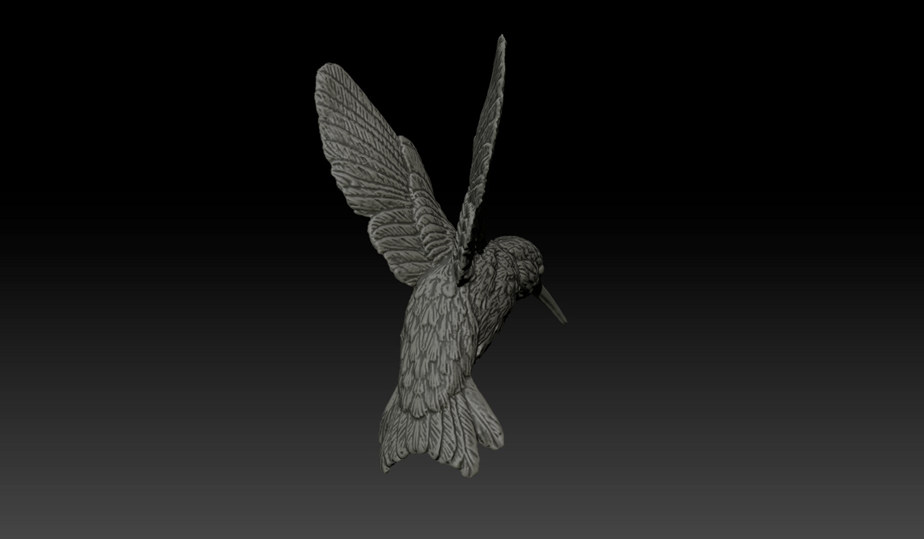 Humming Bird 3d Model