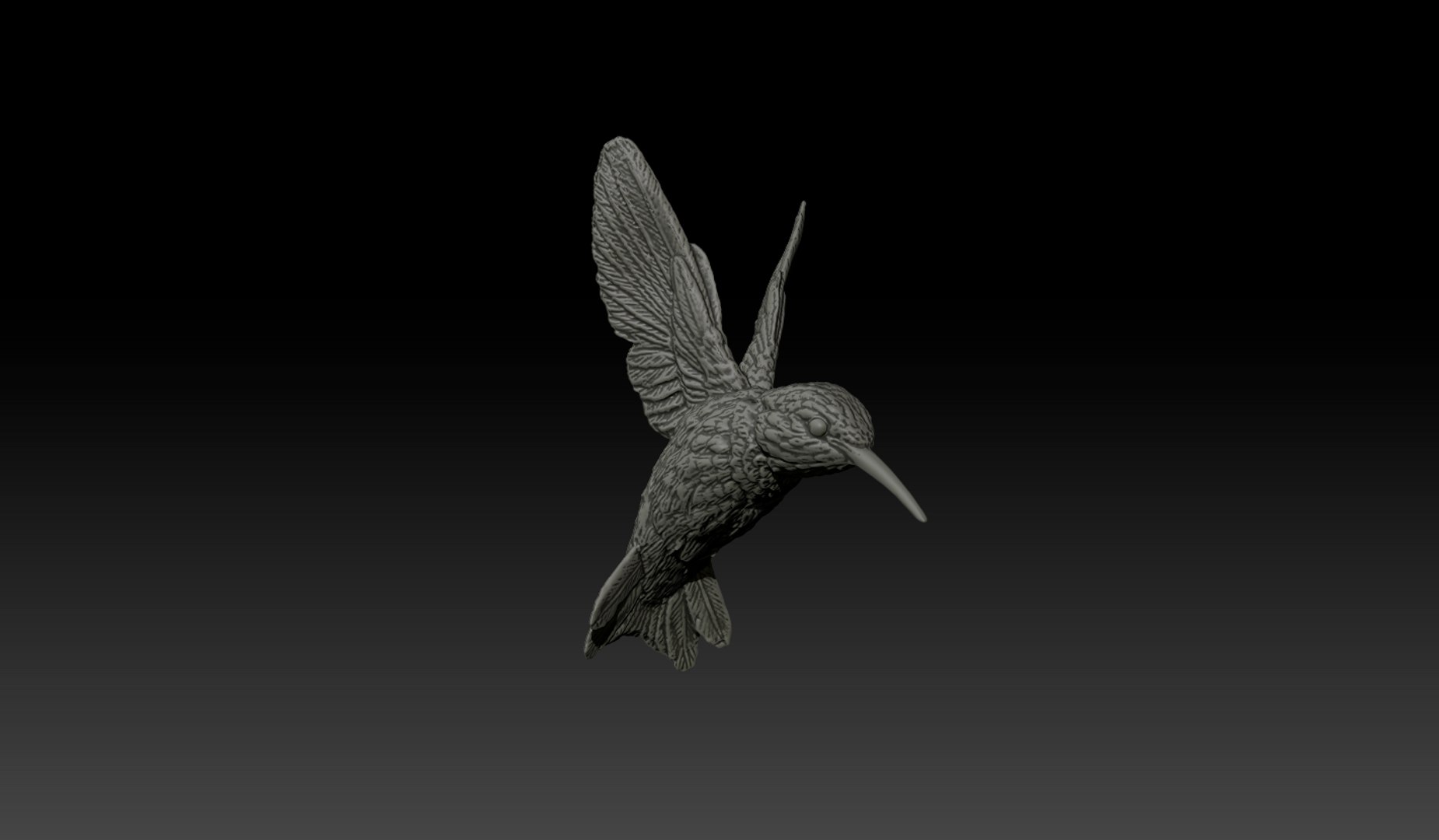 Humming Bird 3d Model