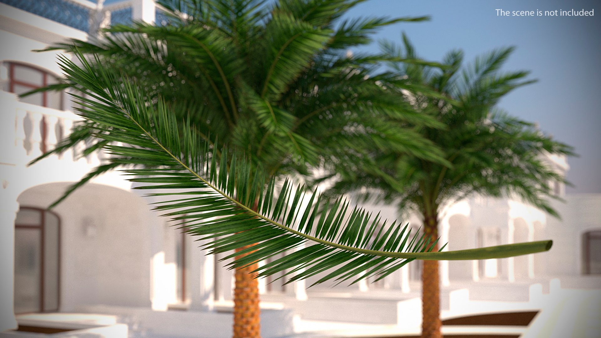 Palm Branch 3D Model - TurboSquid 1485659