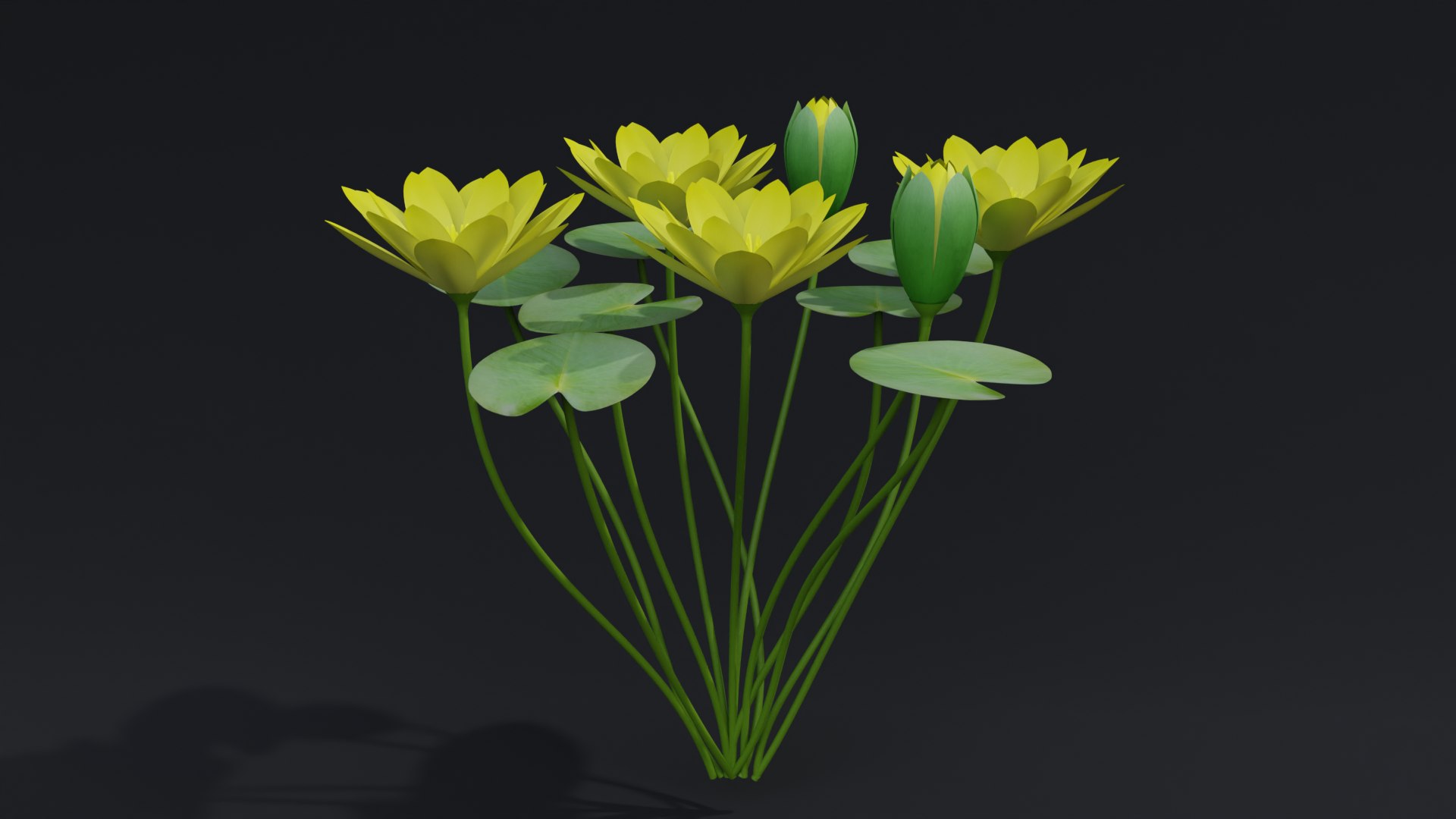 Water Lily Yellow 3D model - TurboSquid 2073372
