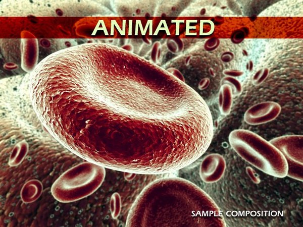 red blood cells animation 3d model