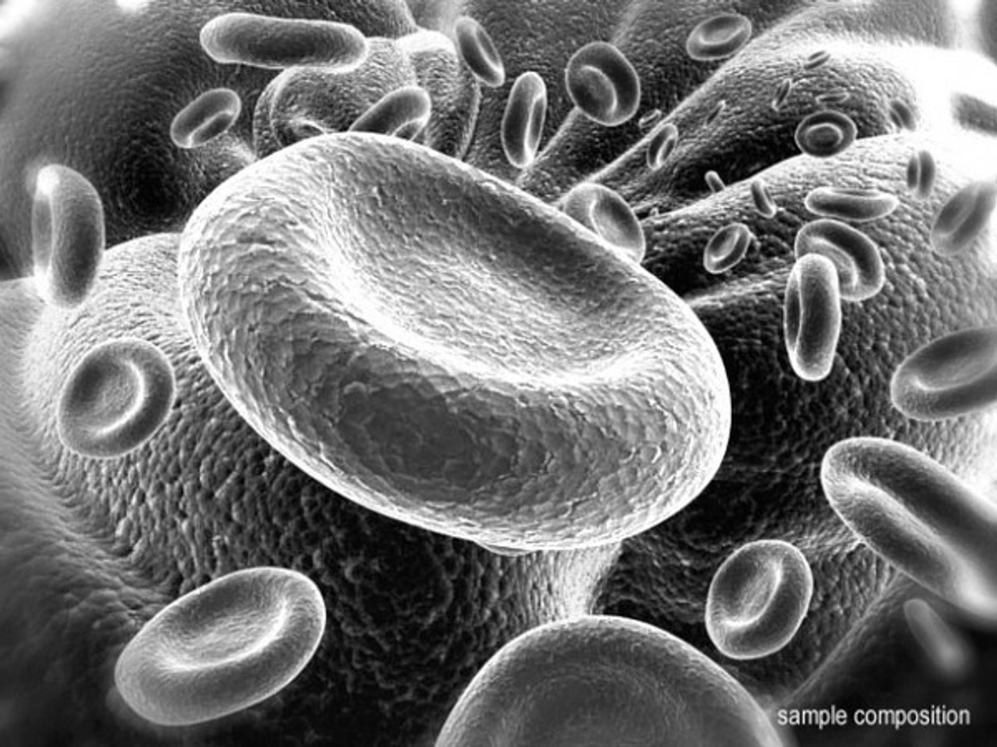 red blood cells animation 3d max