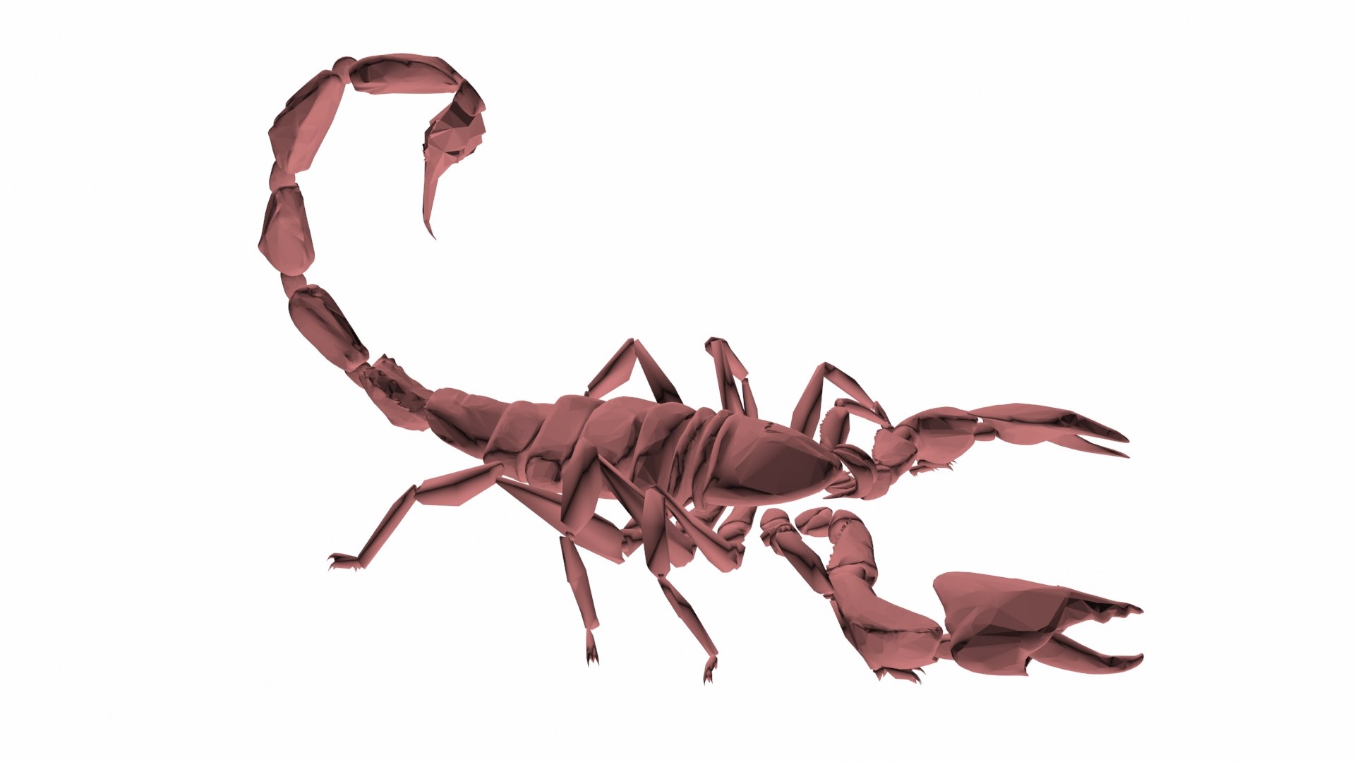 EMPEROR SCORPION 3D - TurboSquid 1736892