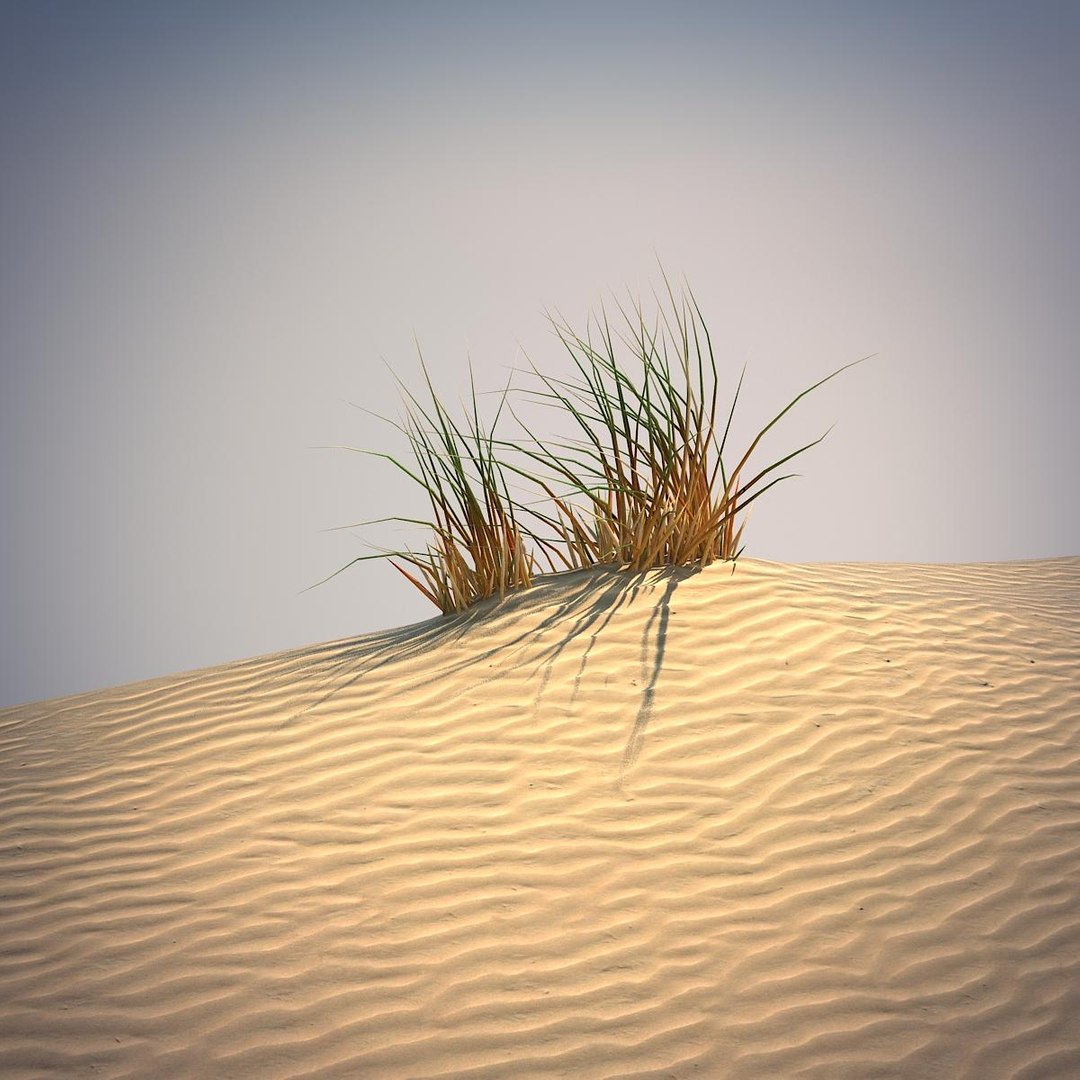 3d Desert Grass Set