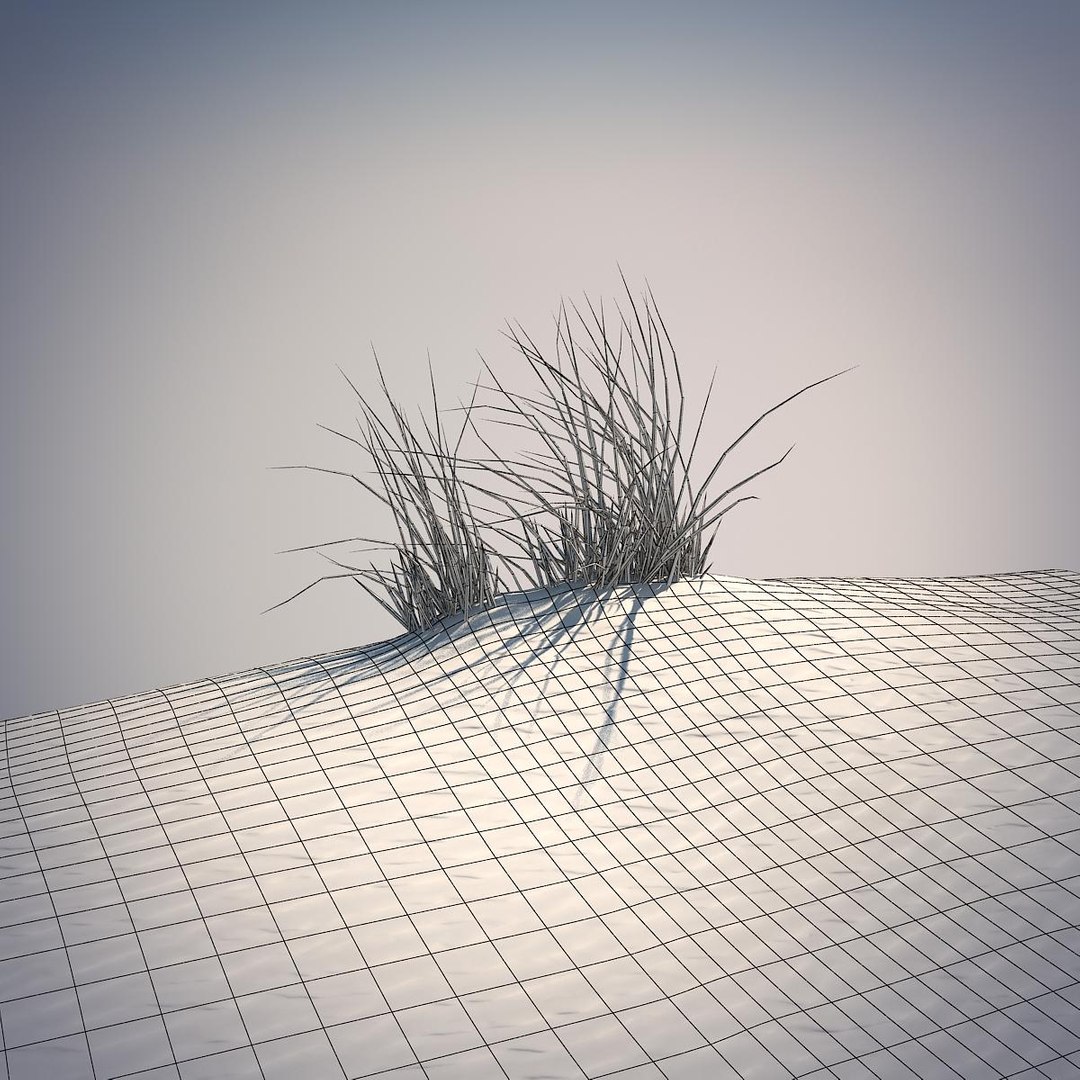 3d Desert Grass Set