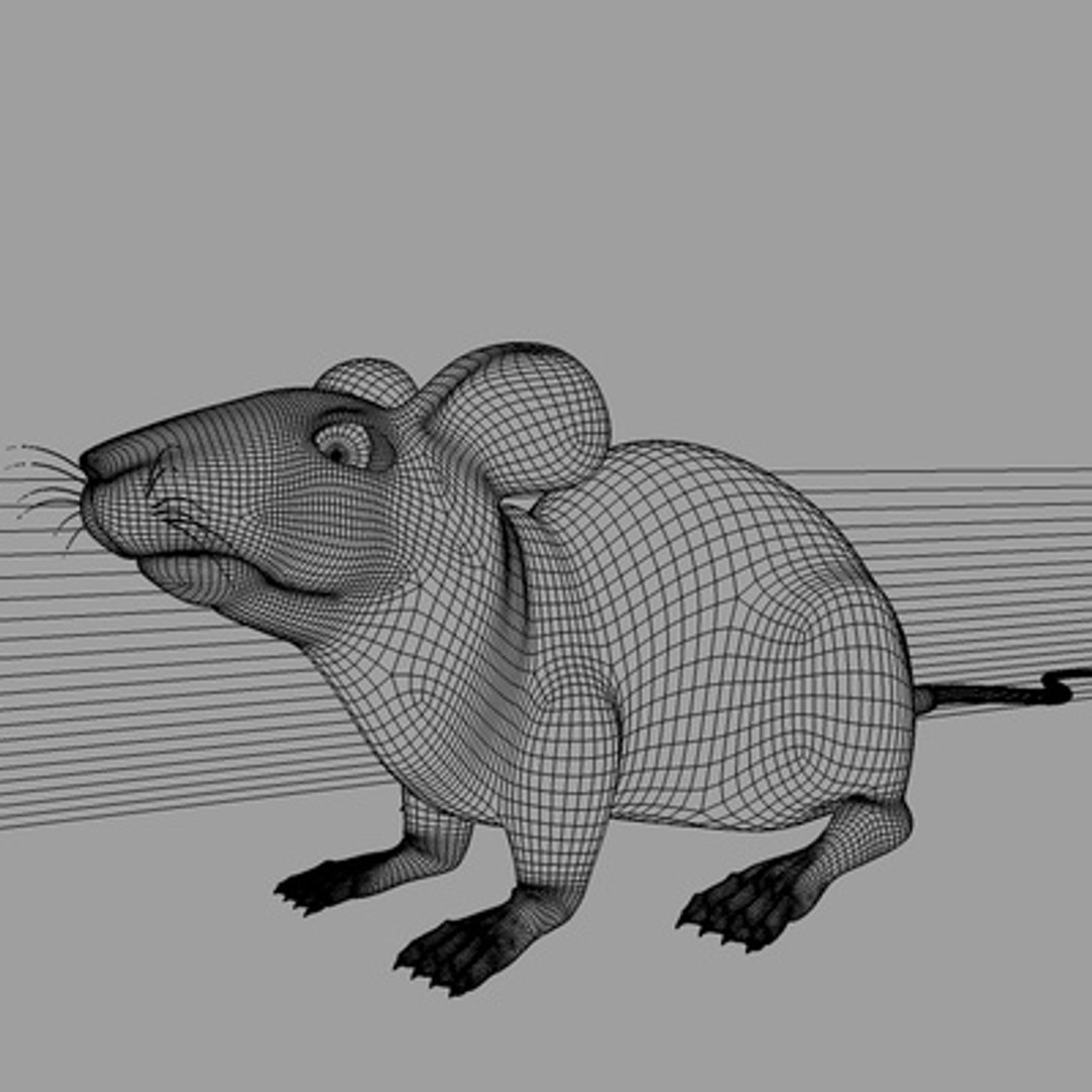 3d Rat Mouse