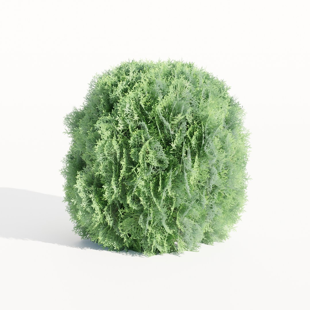 3D Thuja Smaragd Collection Vol 138-Blender - TurboSquid 2146322