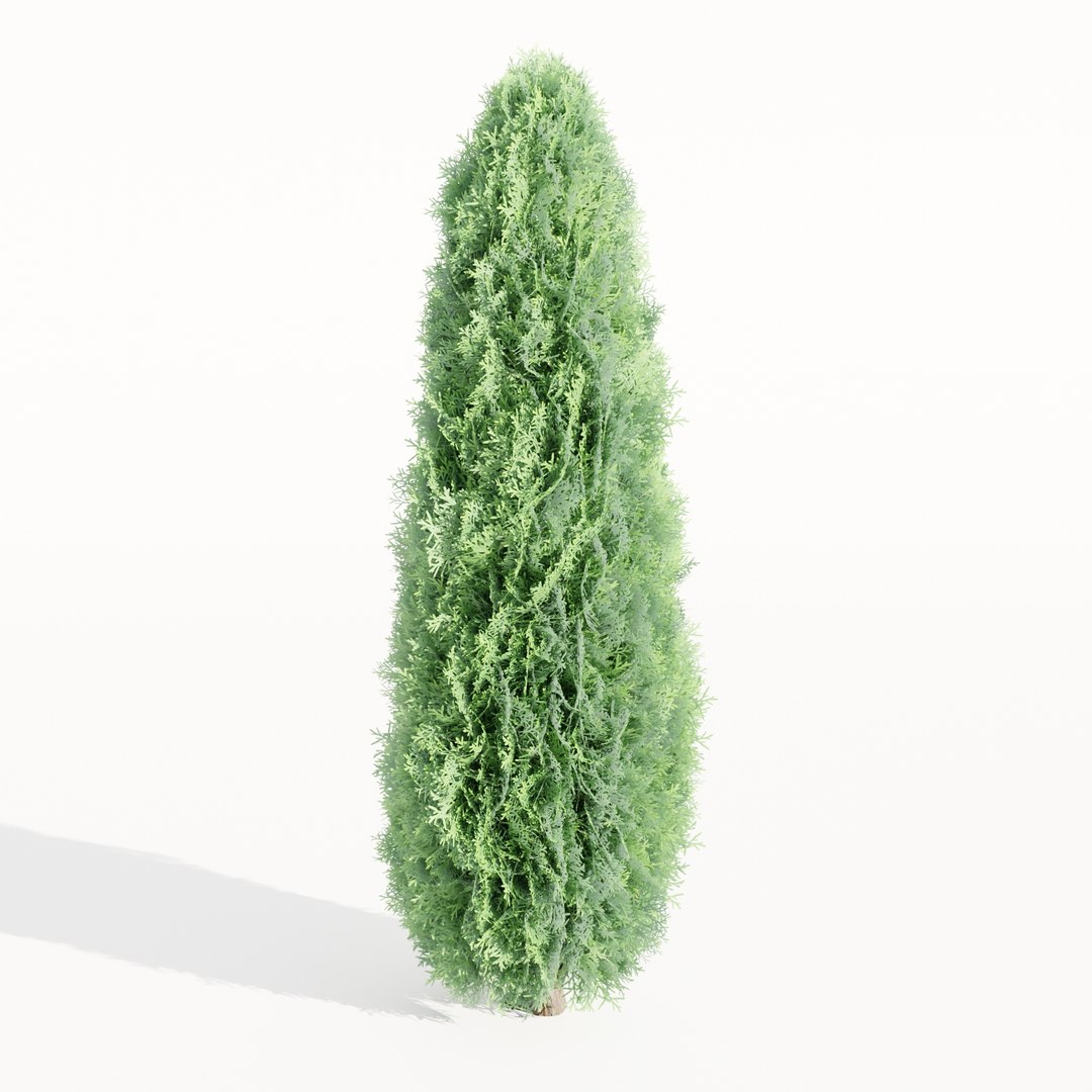3D Thuja Smaragd Collection Vol 138-Blender - TurboSquid 2146322